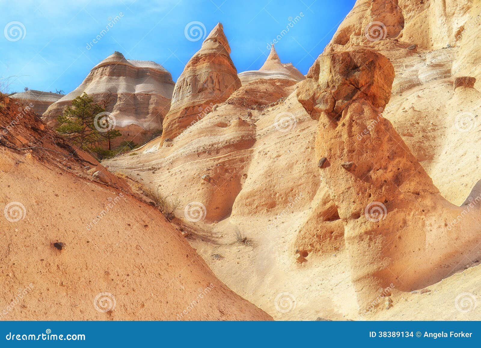Amazing Rock Formations Andjoshua Trees At Sunny Joshua Tree National ...