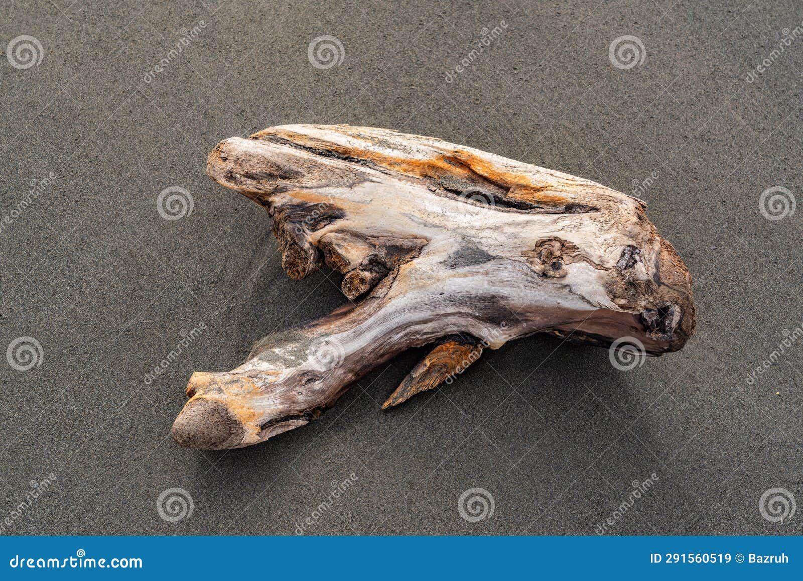 Amazing Shaped Snag on the Sand. Nature Wallpaper Stock Image - Image ...