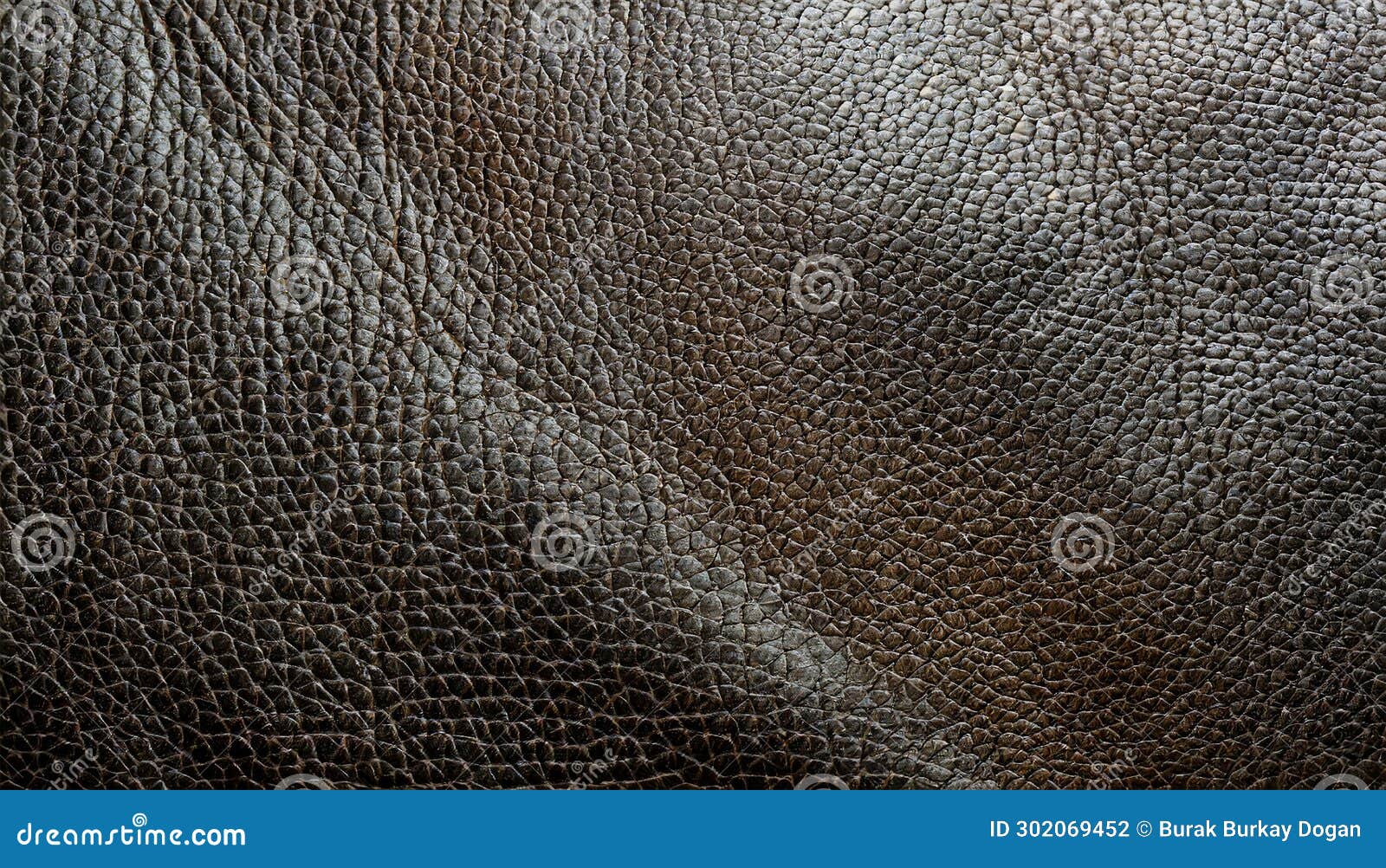 Amazing Shiny Leather Texture is for Background Stock Illustration ...