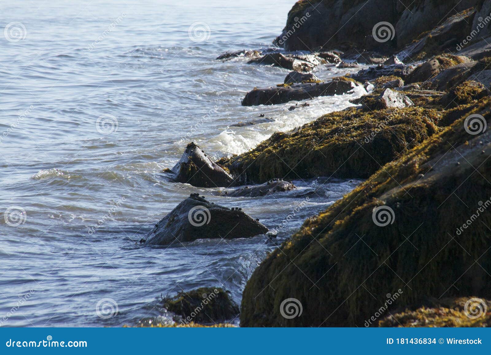 Amazing Shot of Ocean Waves Hitting Beach Rocks Stock Photo - Image of ...