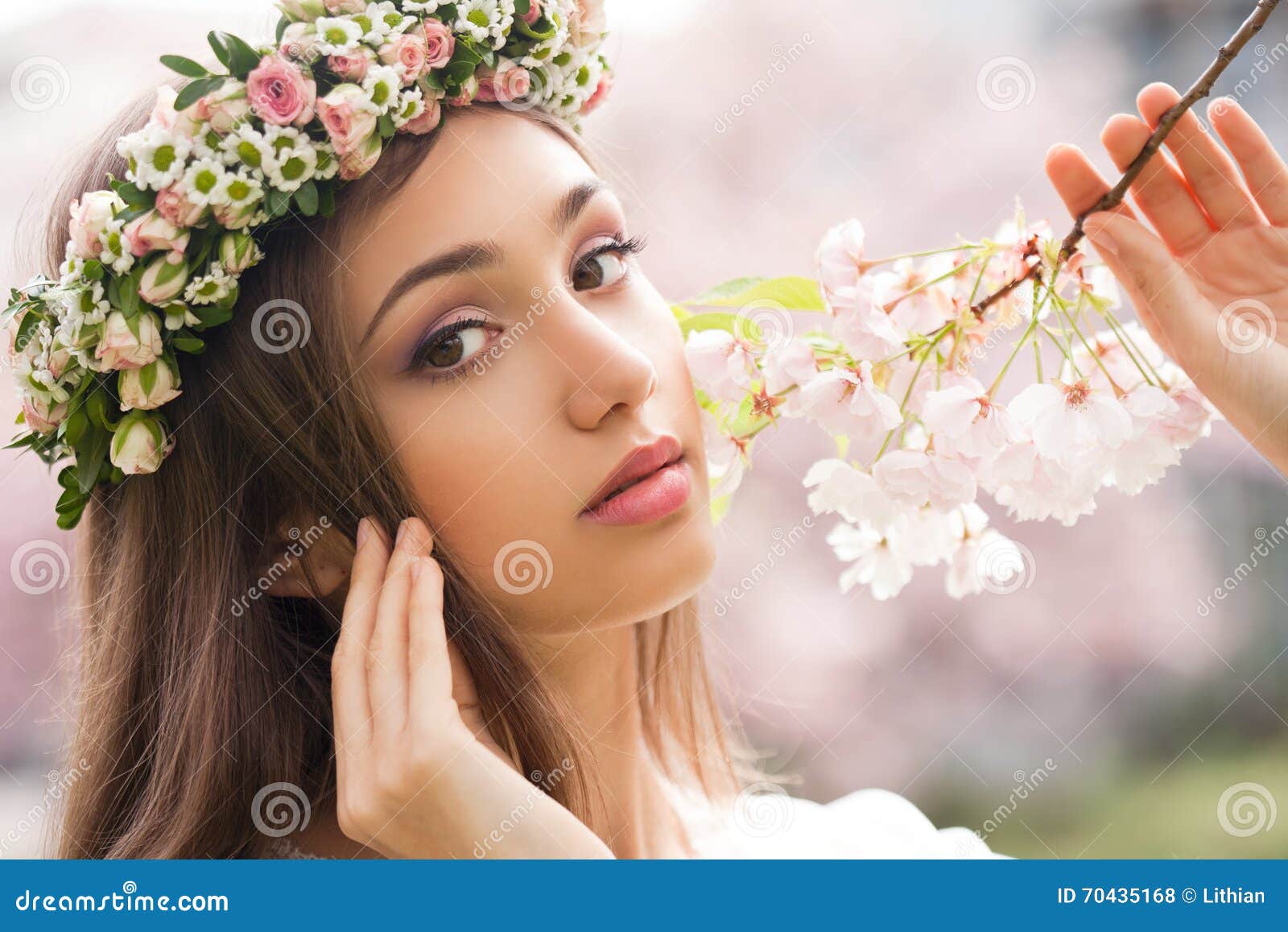Amazing spring beauty. stock photo. Image of beautiful - 70435168