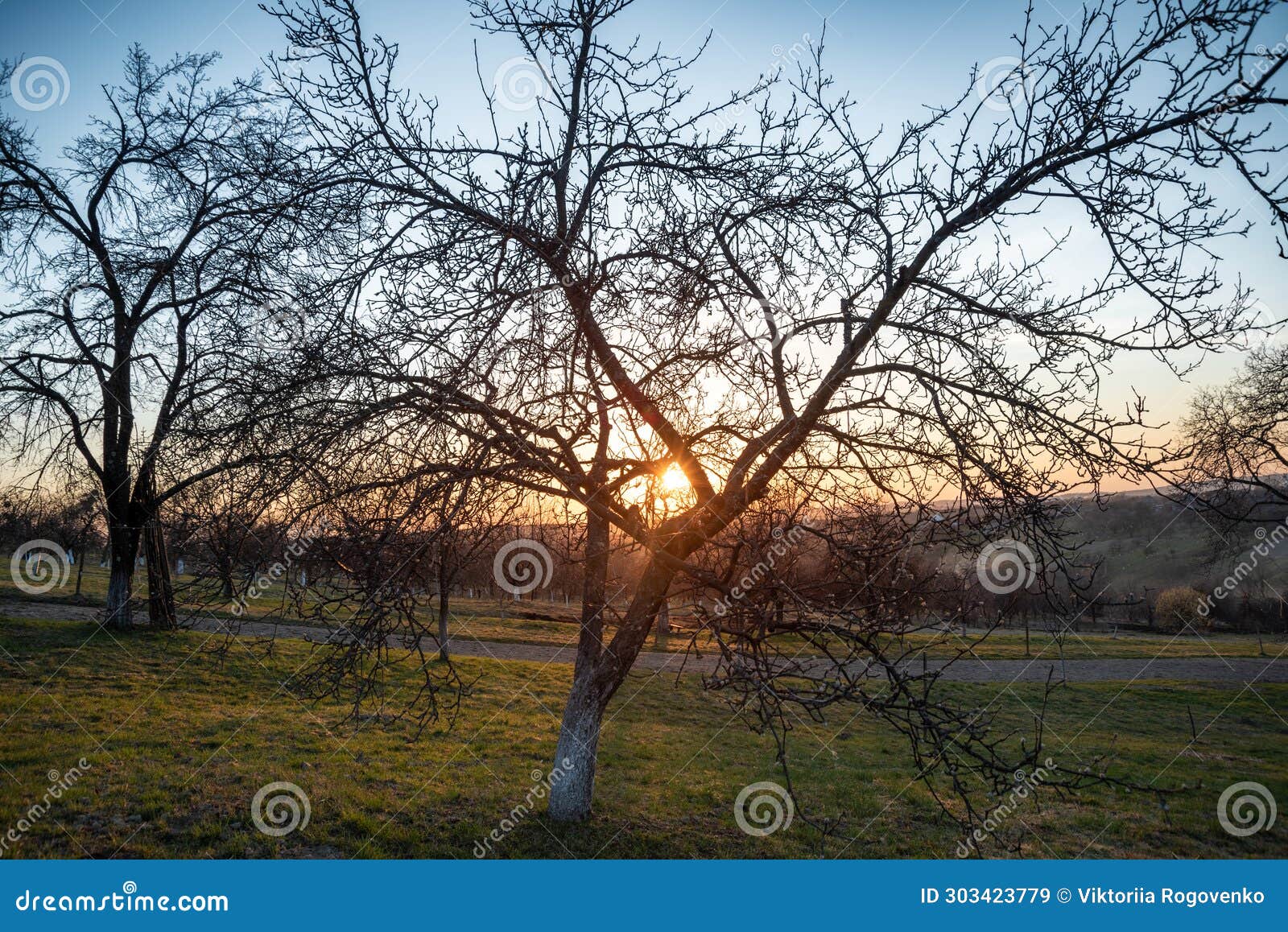 Amazing Spring Rural Landscape at Sunset Stock Image - Image of ...