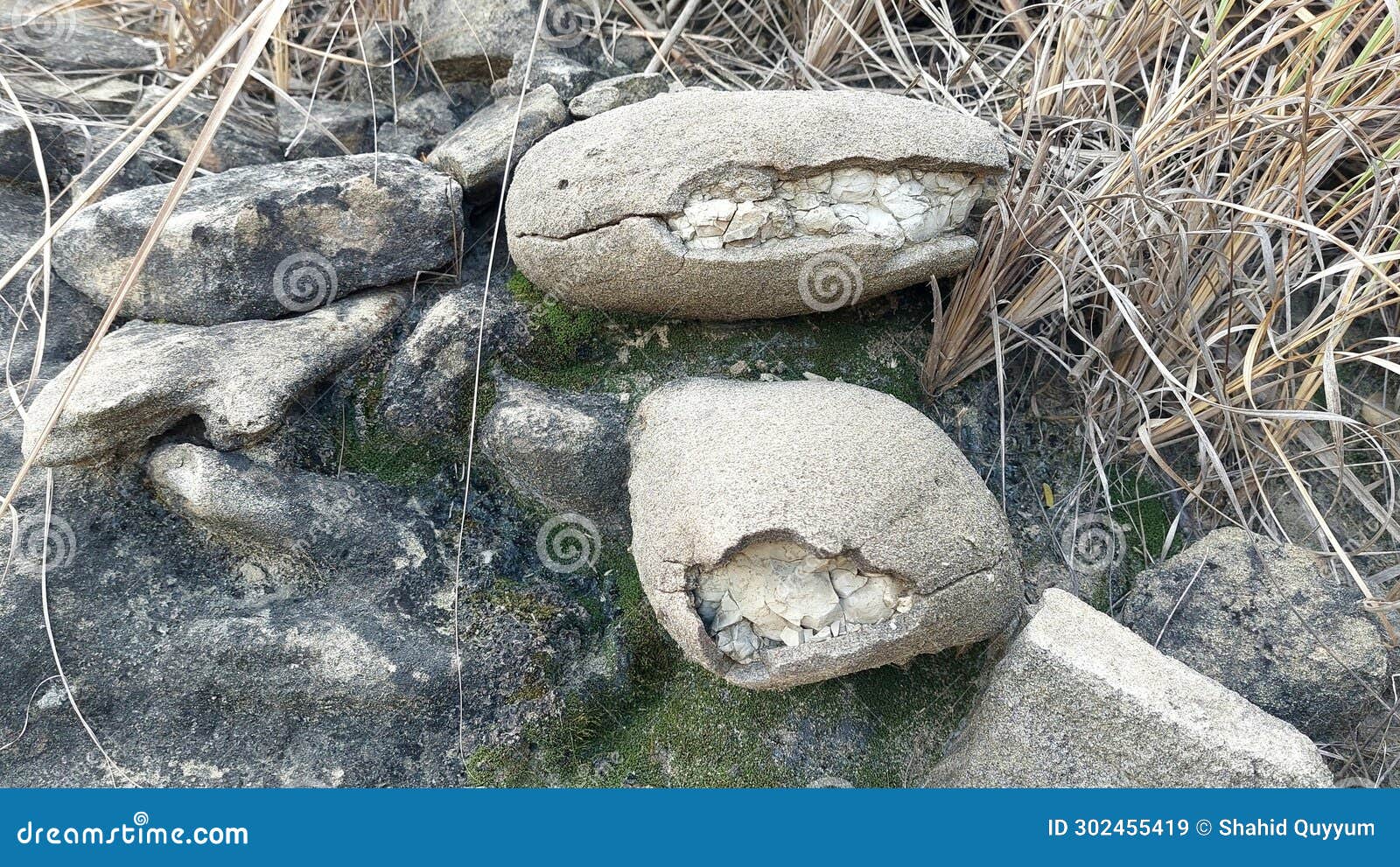 Amazing Stones Shell at Hills Stock Image - Image of rock, unique ...