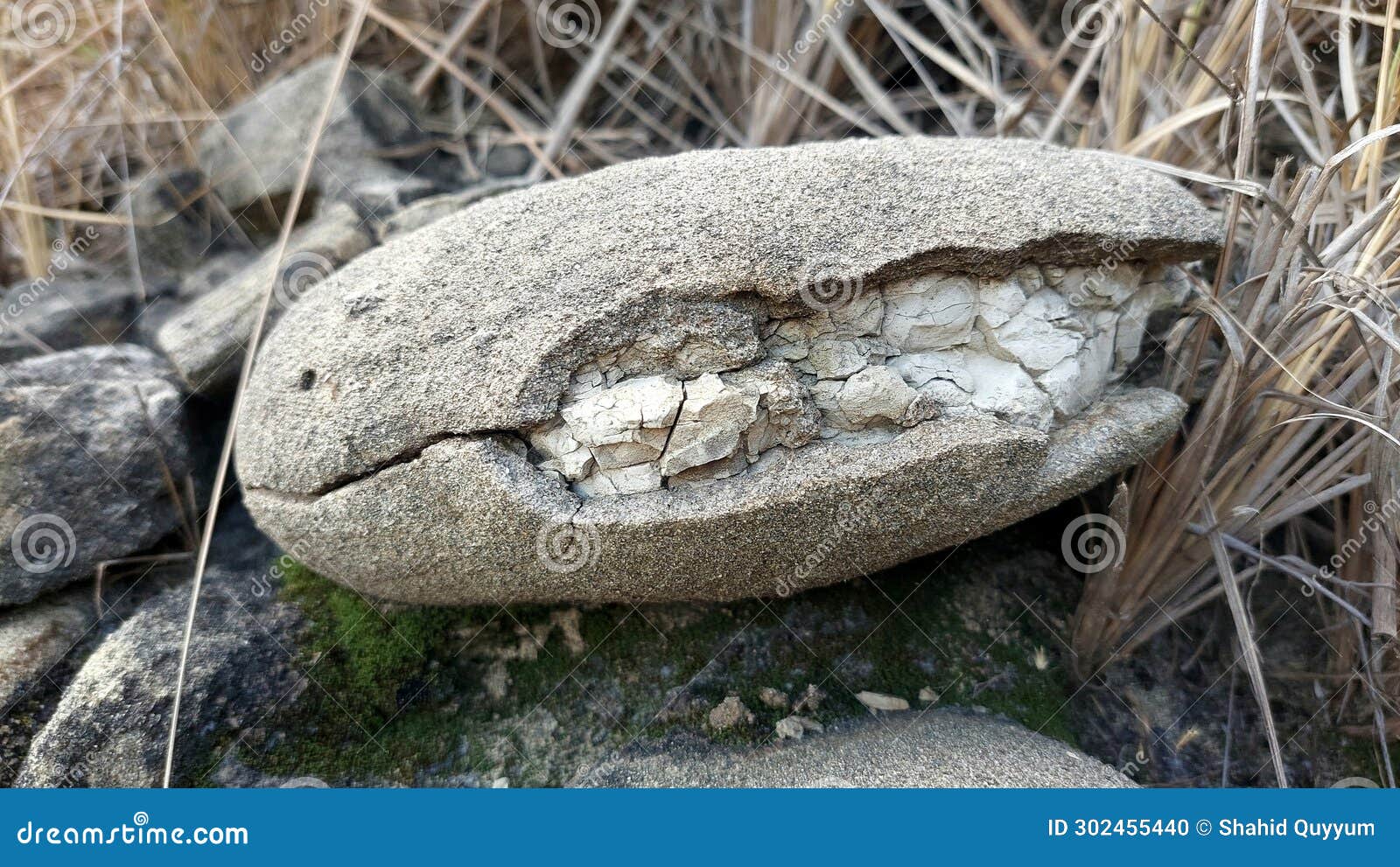 Amazing Stones Shell at Hills Stock Photo - Image of stones, nature ...