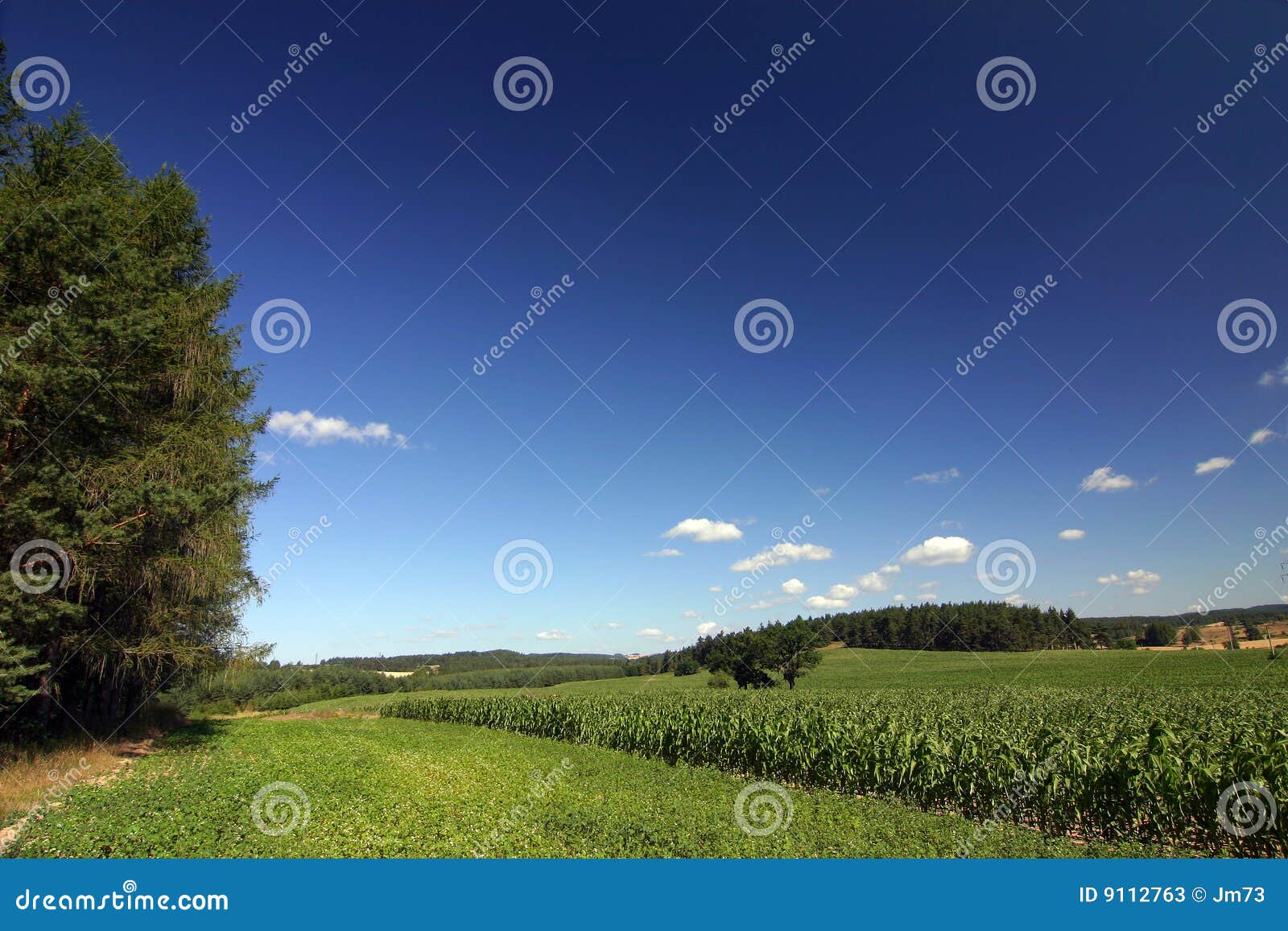Amazing summer landscape stock image. Image of horizon - 9112763