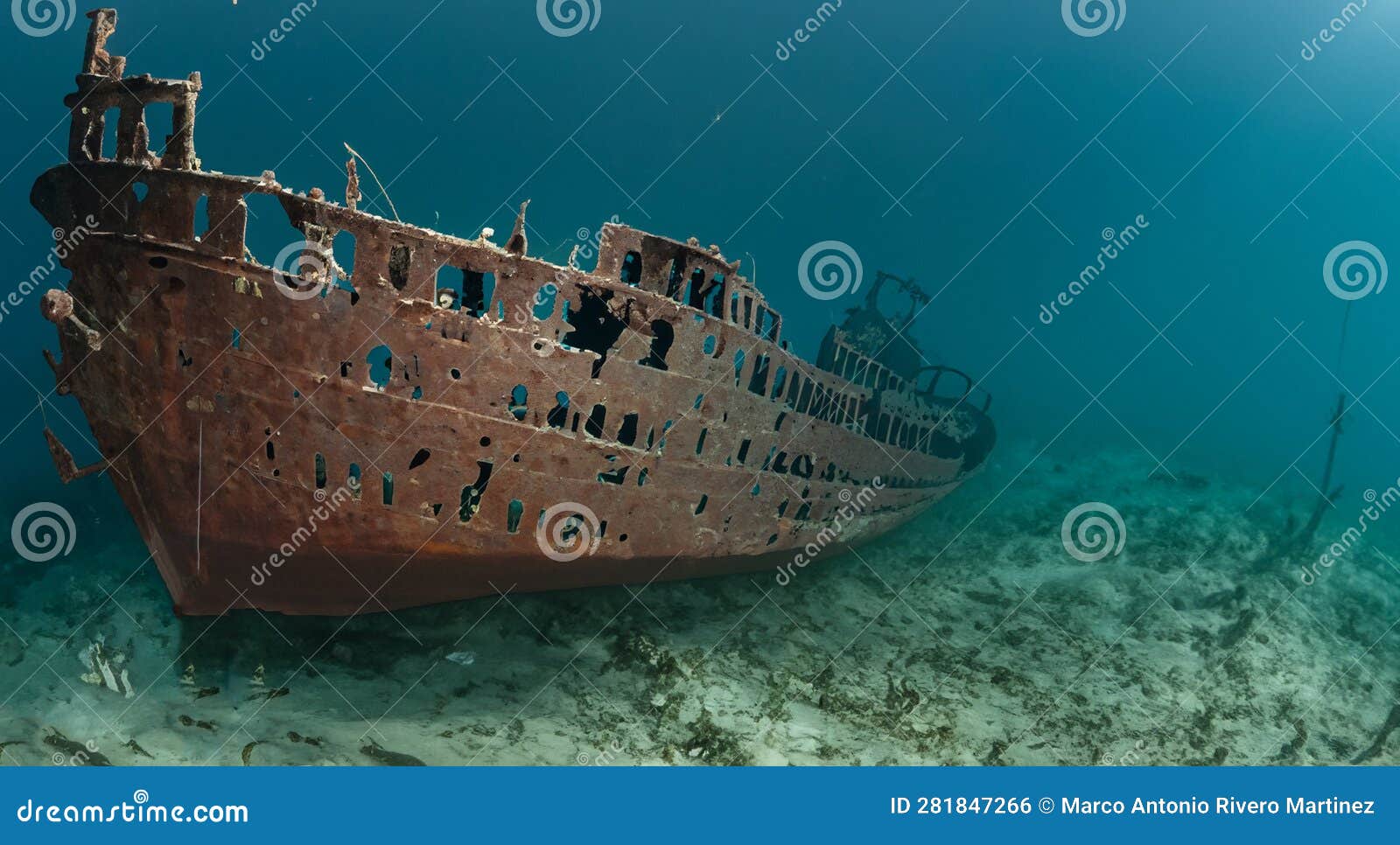 Amazing Sunken and Rusty Ship Under the Sea in the Depths with Good ...