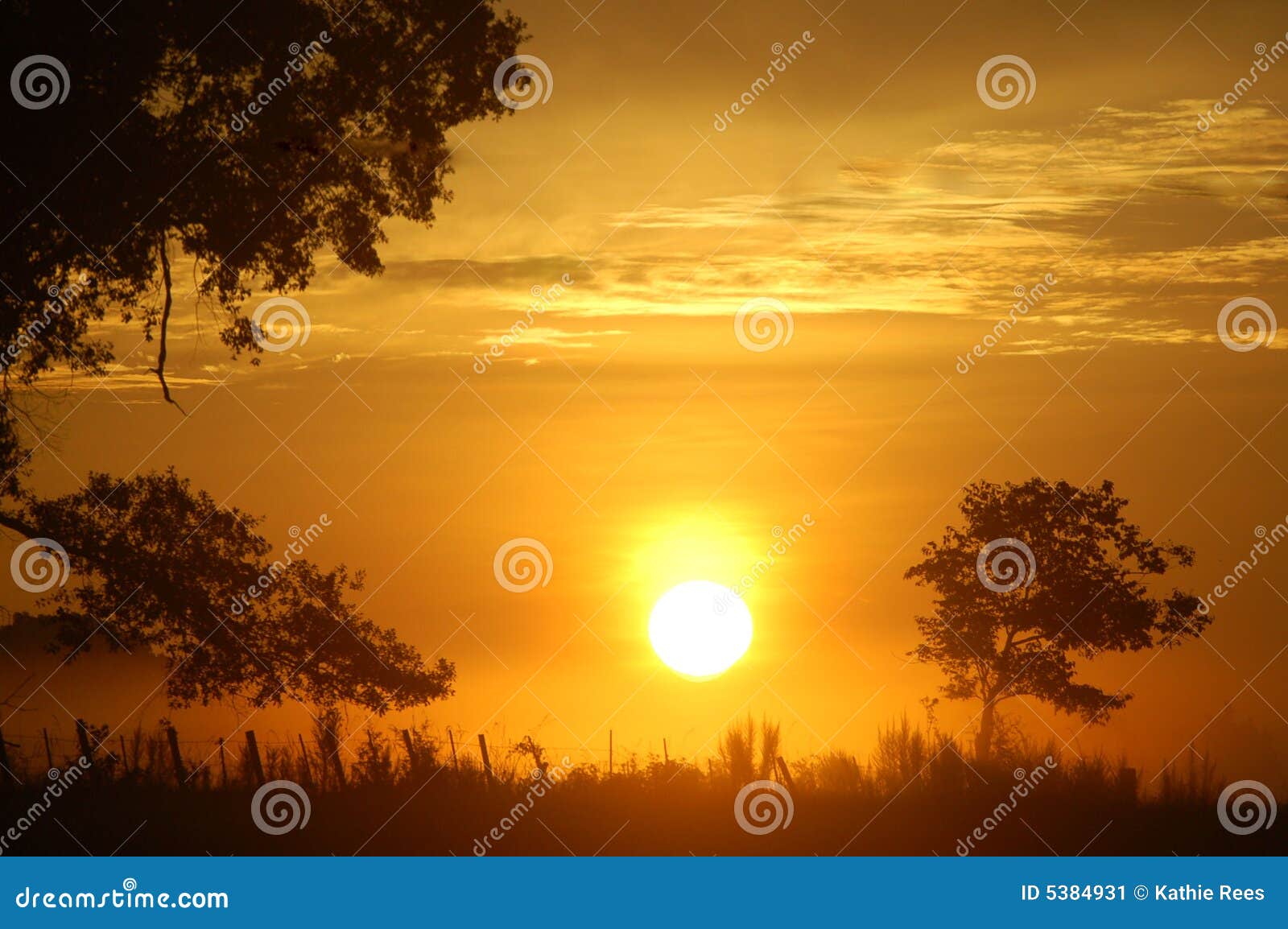 Amazing Sunrise stock image. Image of peaceful, yellow - 5384931