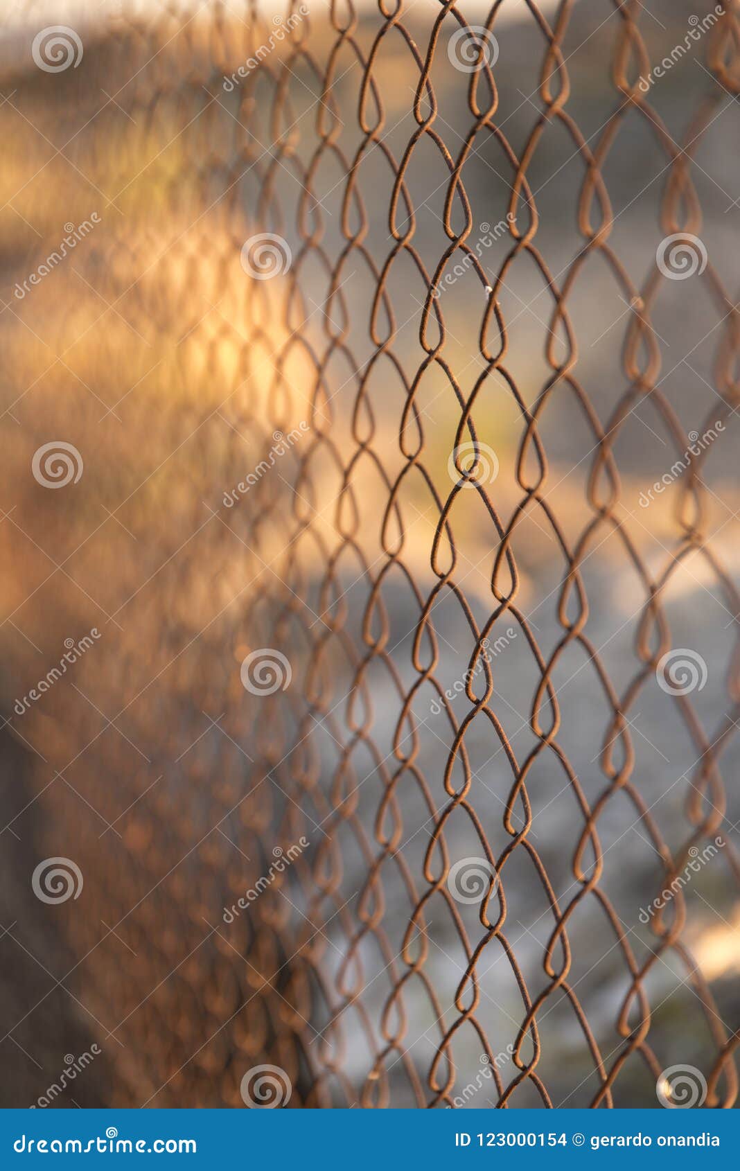 Diffuse Grating Rusty and Abandoned in the Field Limiting a Plot Stock ...