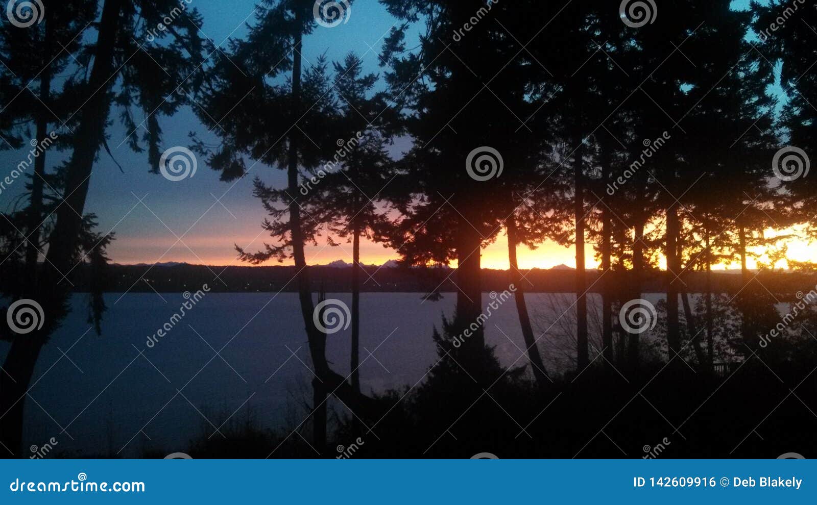 Amazing Sunset Beautiful Washington Fall Stock Photo - Image of sunrise ...