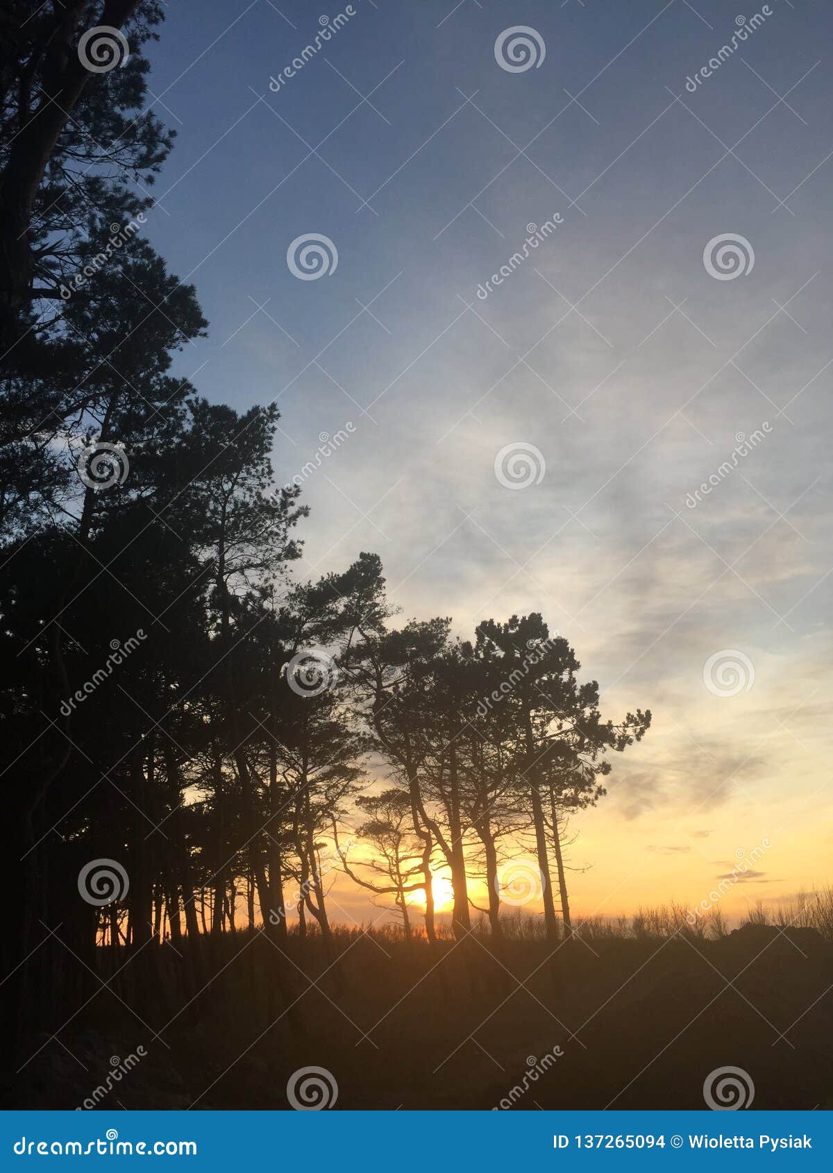 An amazing sunset stock photo. Image of sunset, beutiful - 137265094