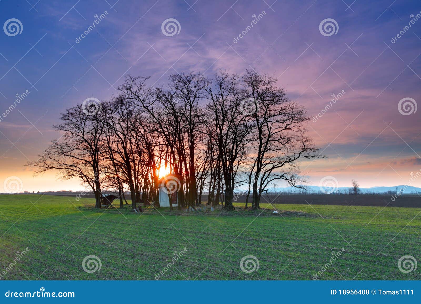 Amazing sunset on field stock photo. Image of meadow - 18956408