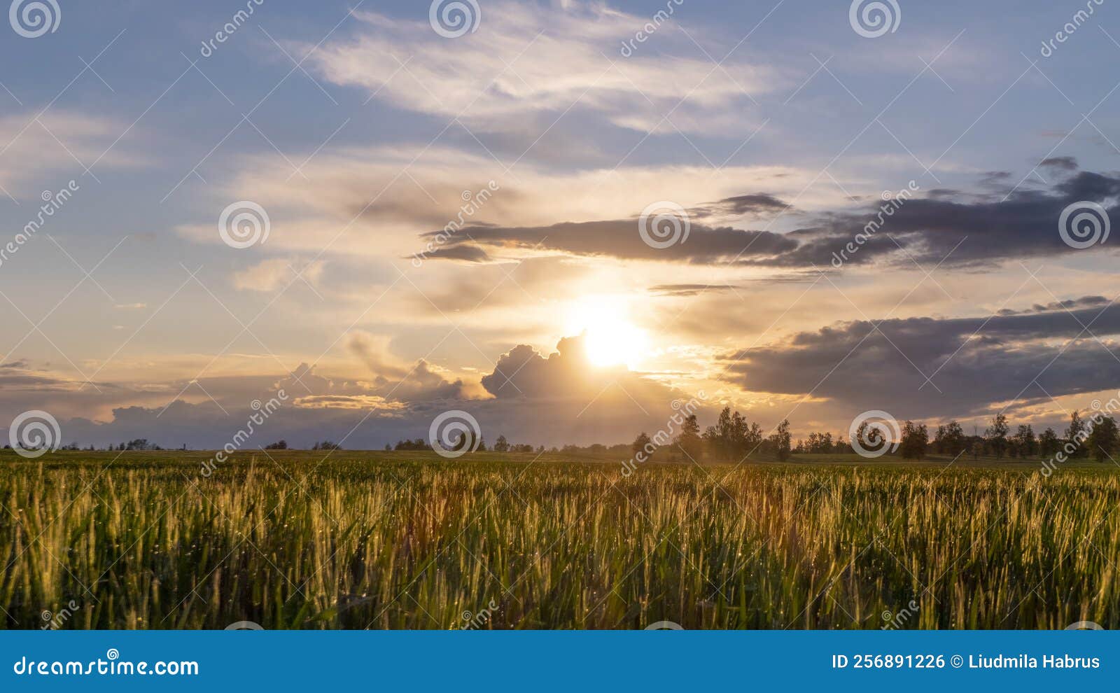 Amazing Sunset Over the Field Stock Photo - Image of bright, rural ...