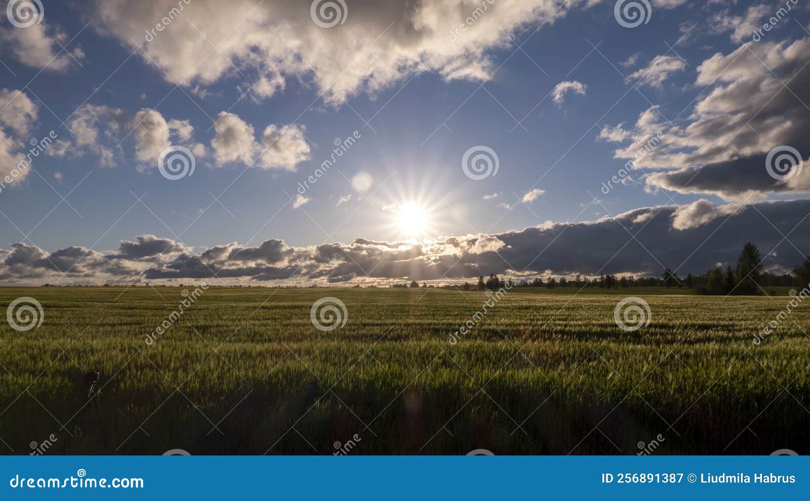 Amazing Sunset Over the Field Stock Image - Image of rural, light ...