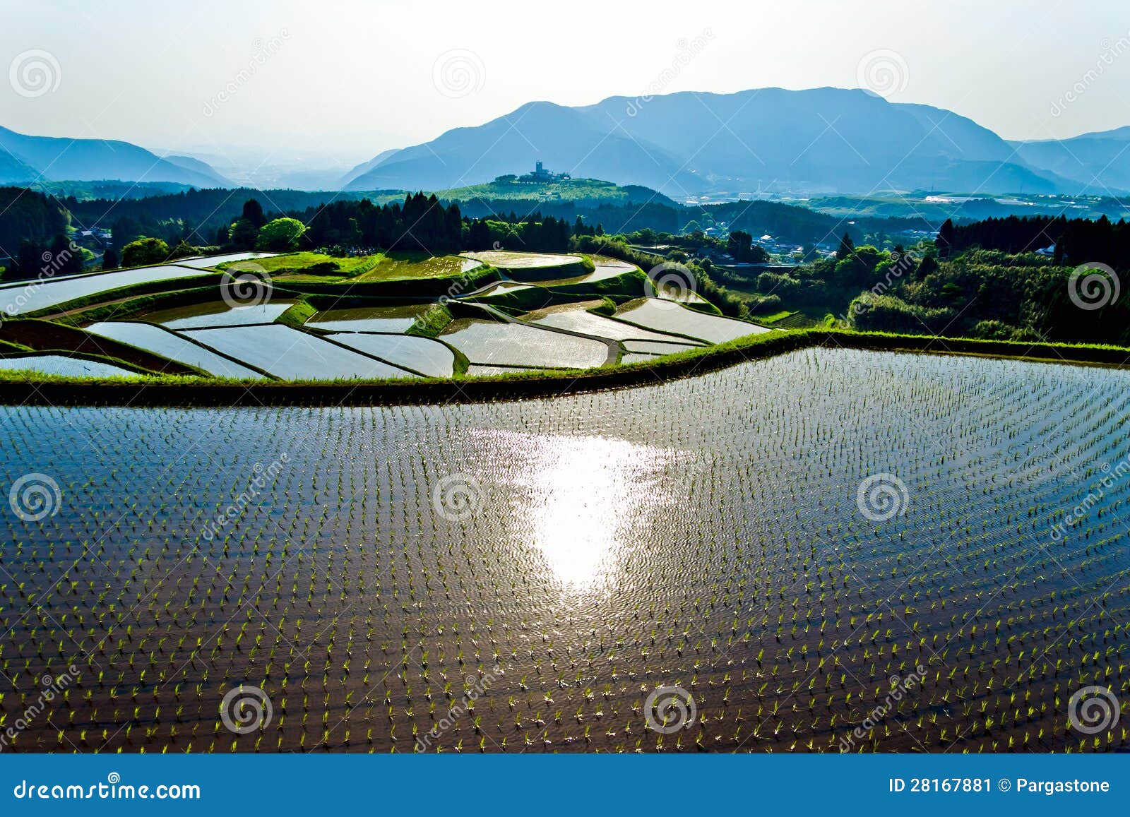 Amazing Terraced Rice Fields in Japan Kyushu Stock Image - Image of ...