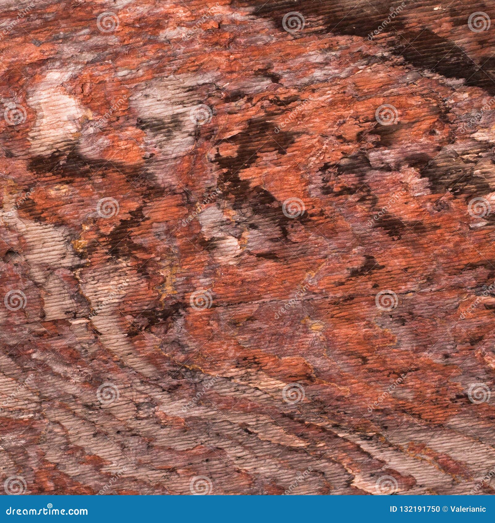 Amazing Texture of the Stone Stock Photo - Image of abstract, design ...