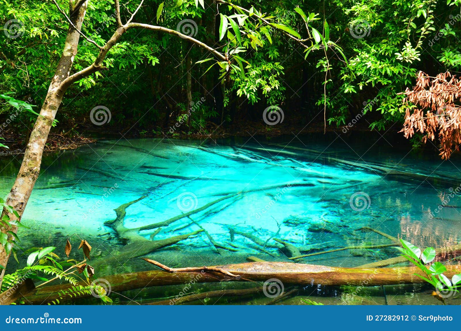Amazing Thailand Emerald Pool in Krabi Stock Photo - Image of morakot ...