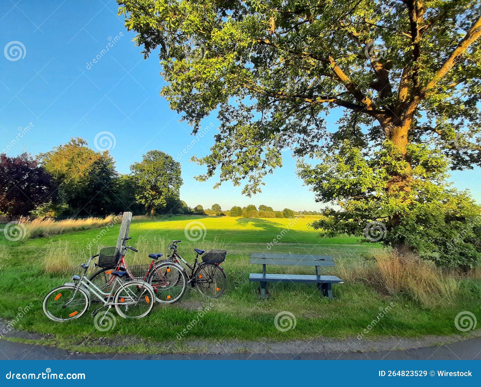 A Nice Time in Nature with Bicycle Stock Image - Image of picnic ...