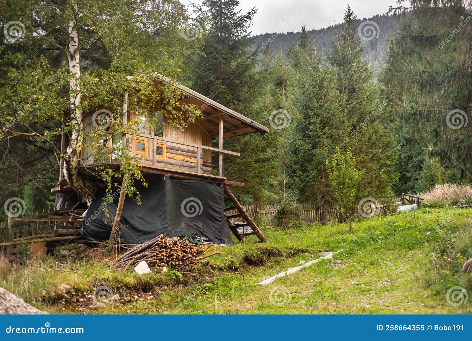 Beautiful Treehouse with Large Windows Stock Image - Image of tree ...