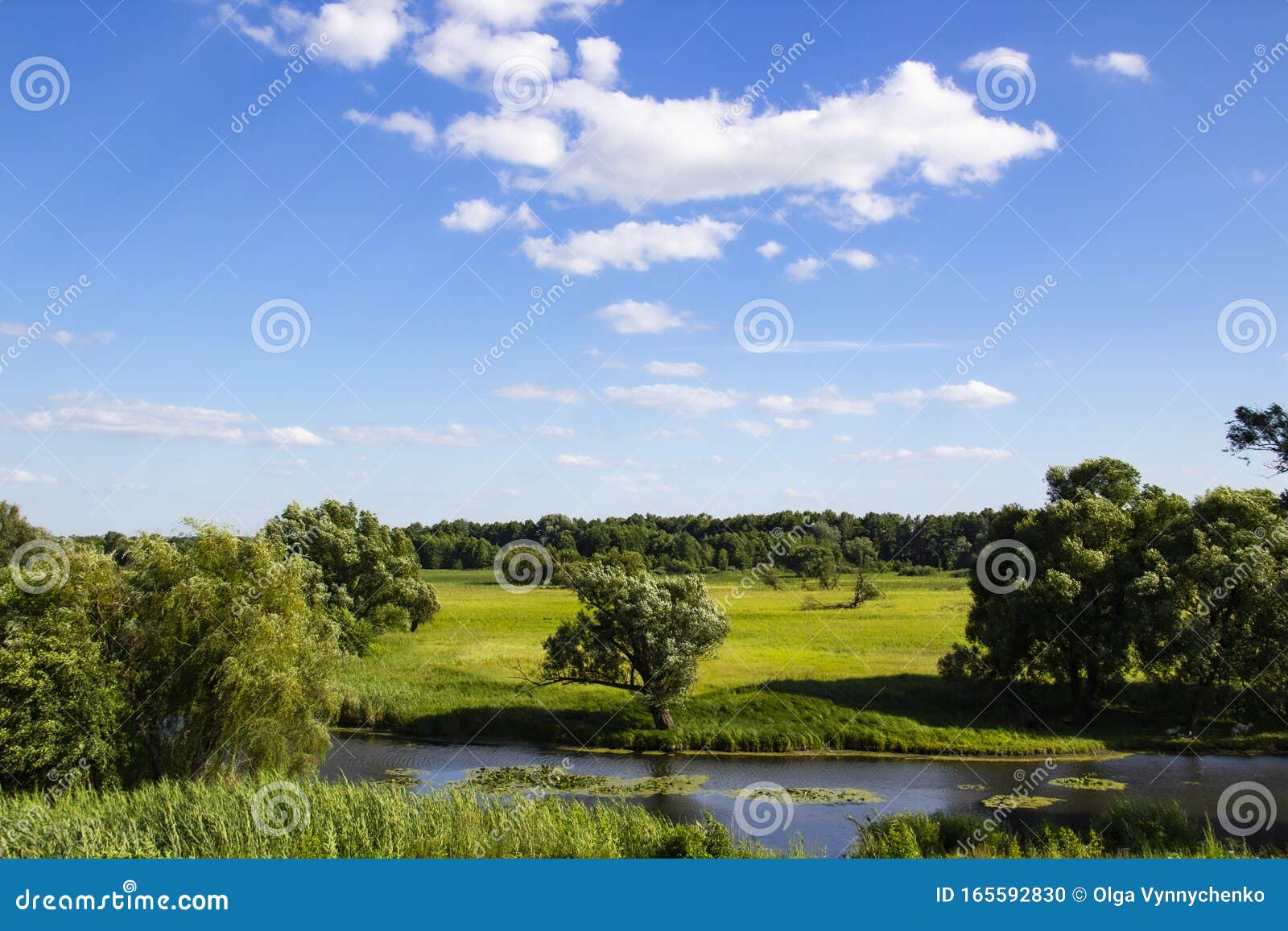 Amazing Ukrainian Nature in the Village. Nature is Beautiful.River ...