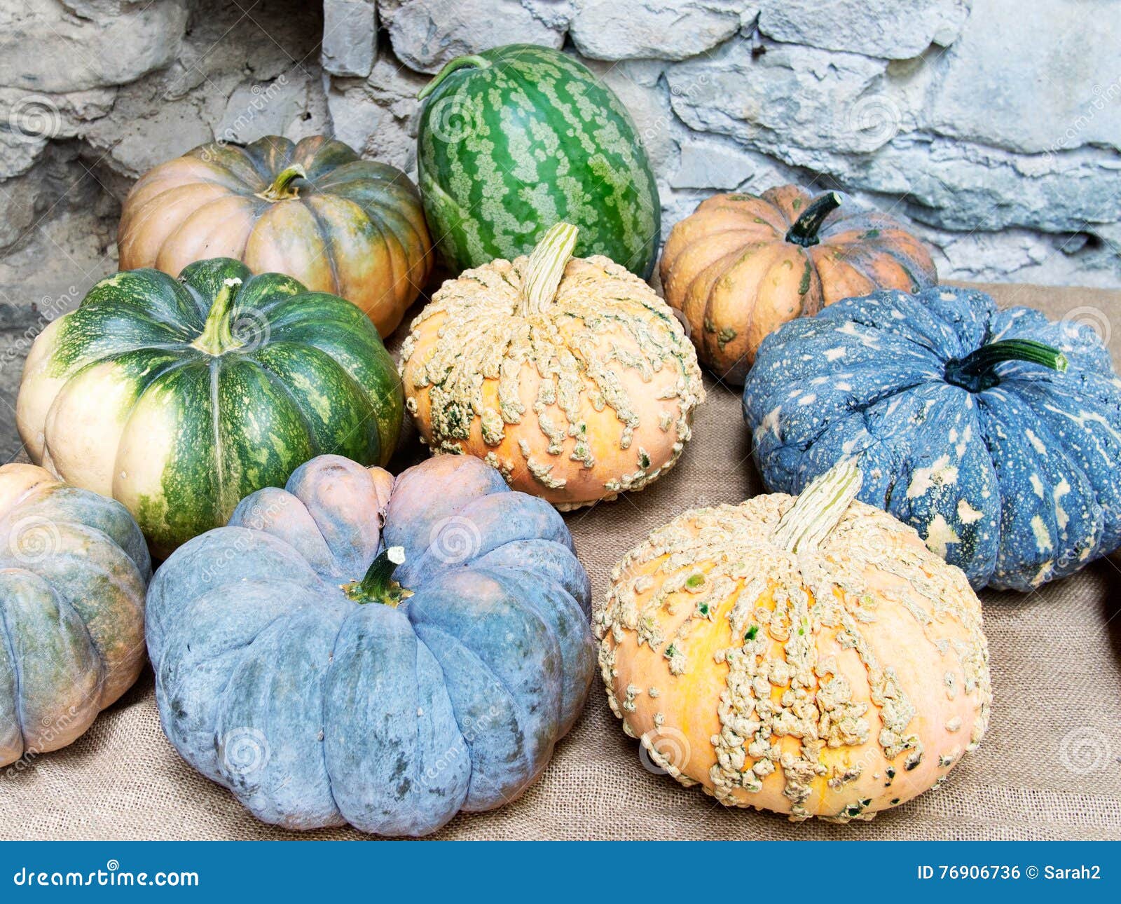 Amazing Variety! Ornamental Gourds. Stock Photo - Image of assorted ...