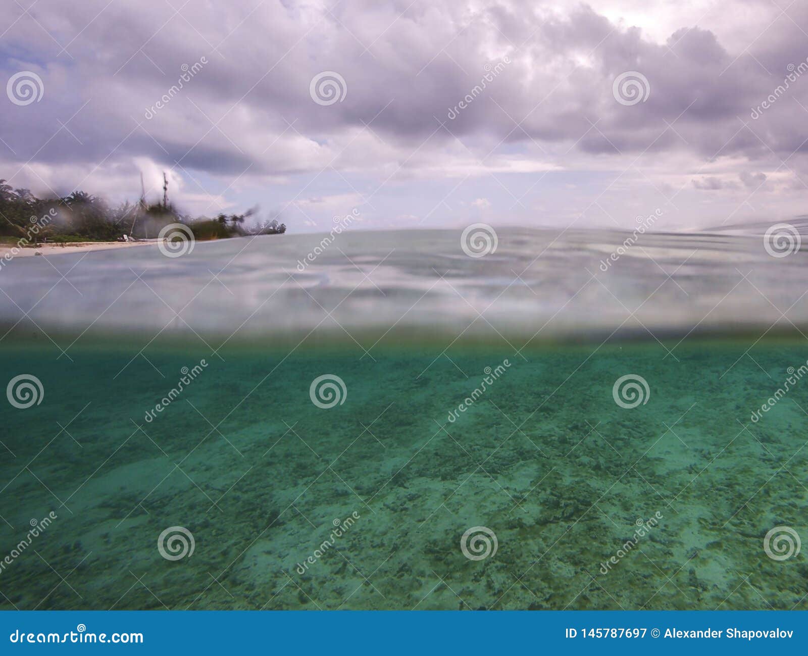Amazing View of Both Ocean Surface and Underwater World during Camera ...