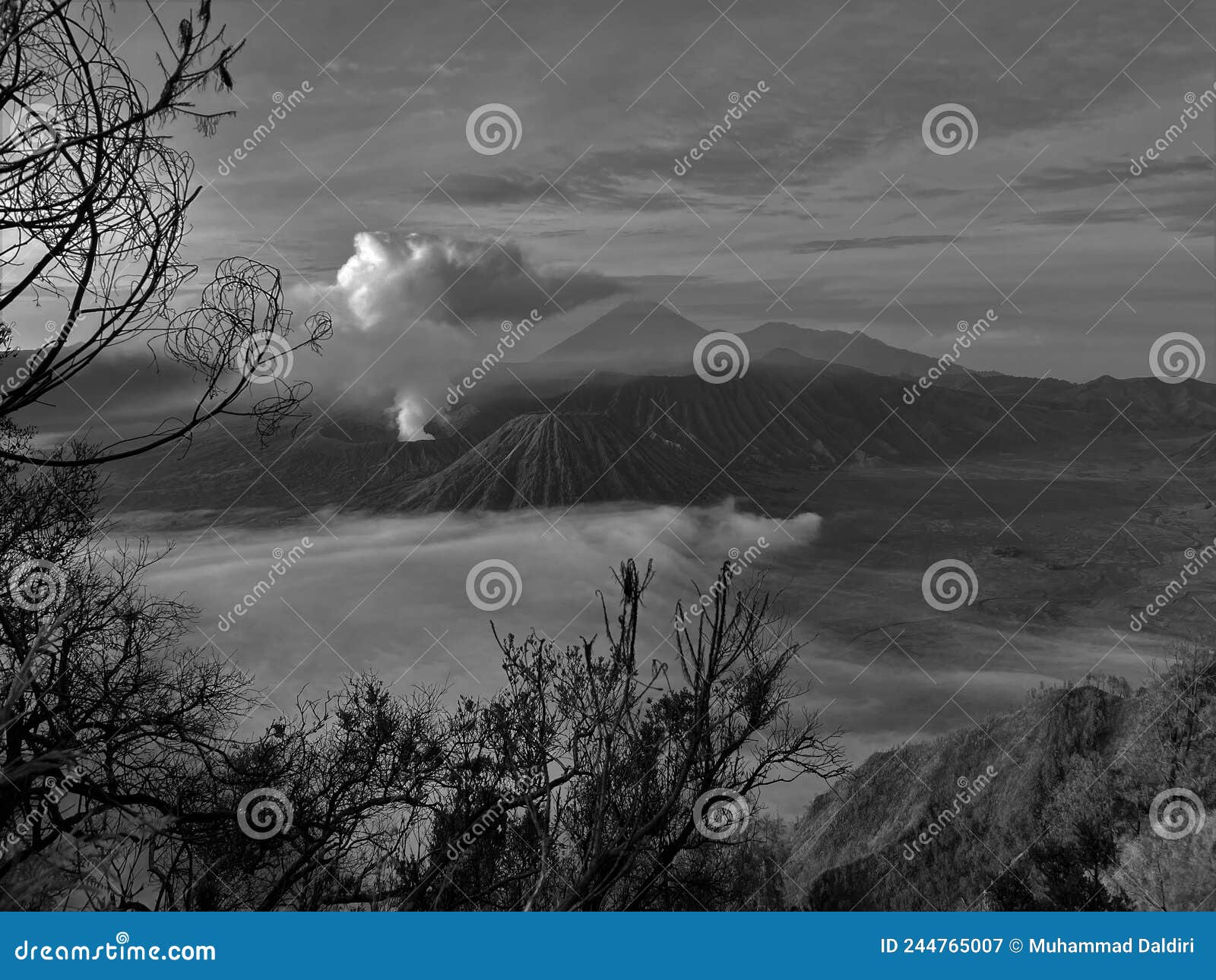 Amazing View of Mount Bromo Stock Image - Image of forest, tree: 244765007