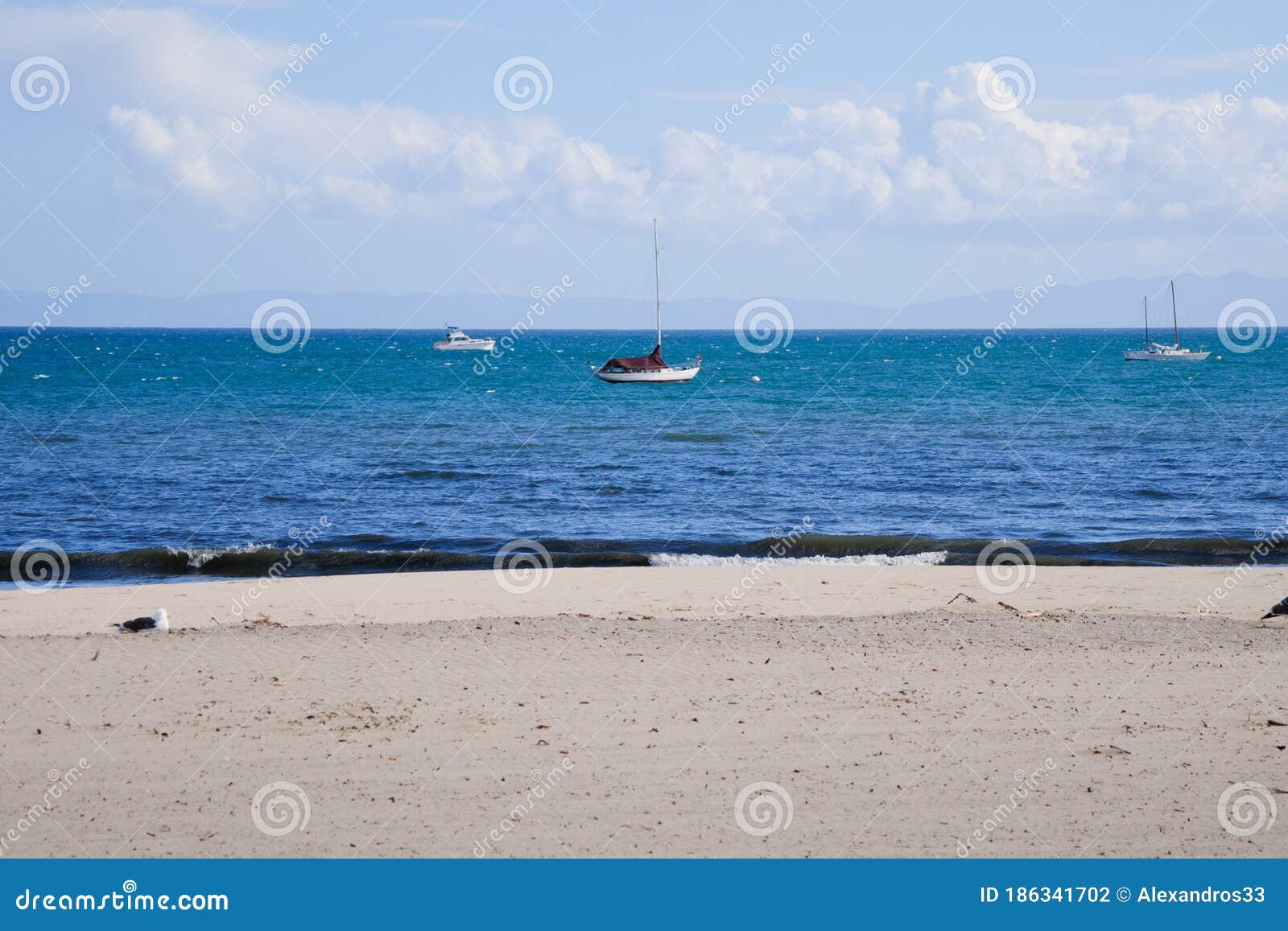 Amazing View by the Ocean in Sunny California Stock Photo - Image of ...
