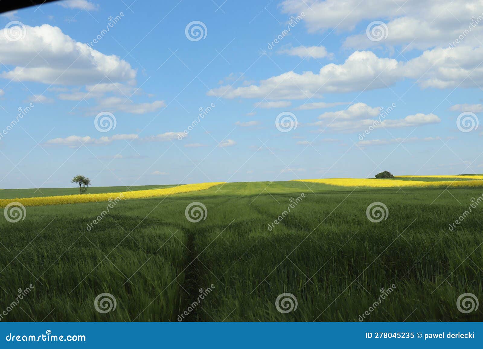 Amazing view polish field stock image. Image of cloud - 278045235