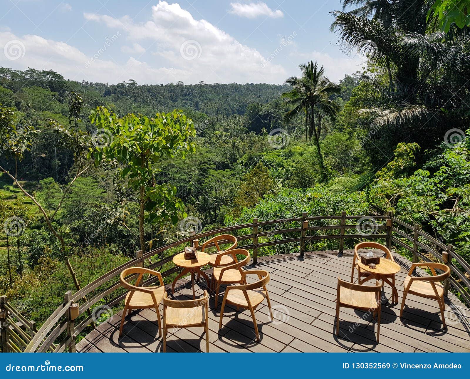 Jungle ubud stock image. Image of view, jungle, amazing - 130352569