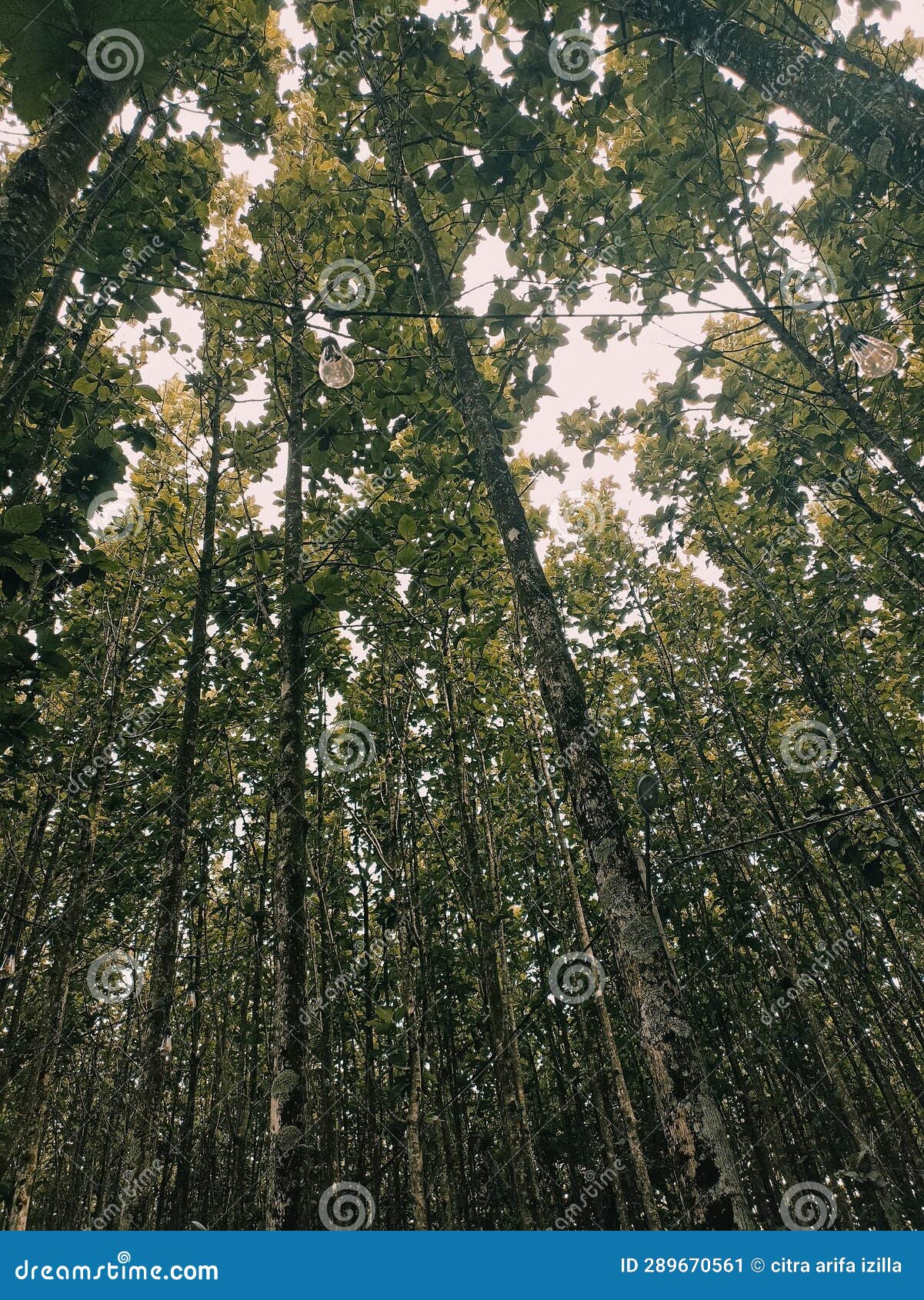 An Amazing Village View at Noon Stock Image - Image of noon, cool ...