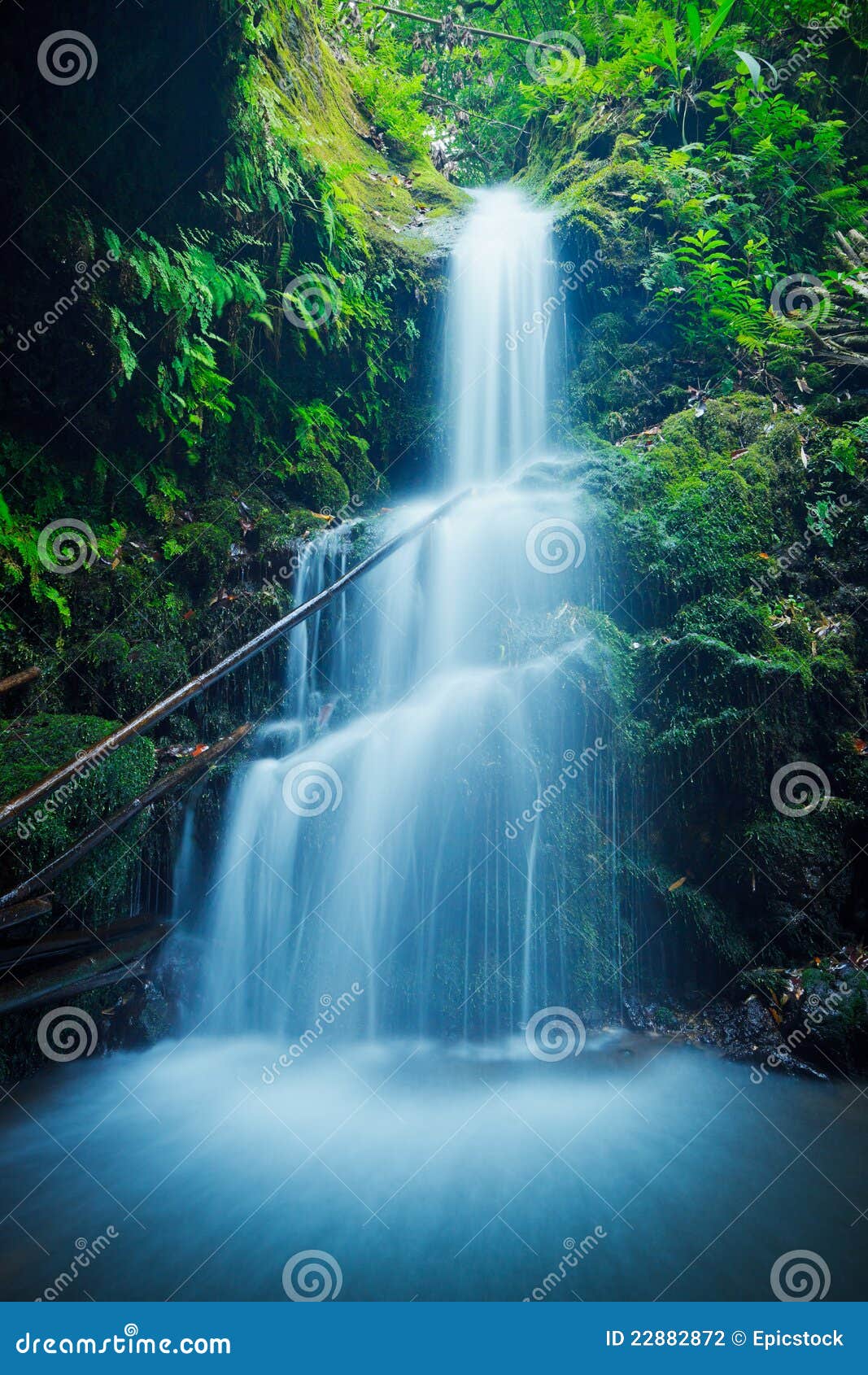 Amazing Waterfall stock photo. Image of plant, park, rock - 22882872