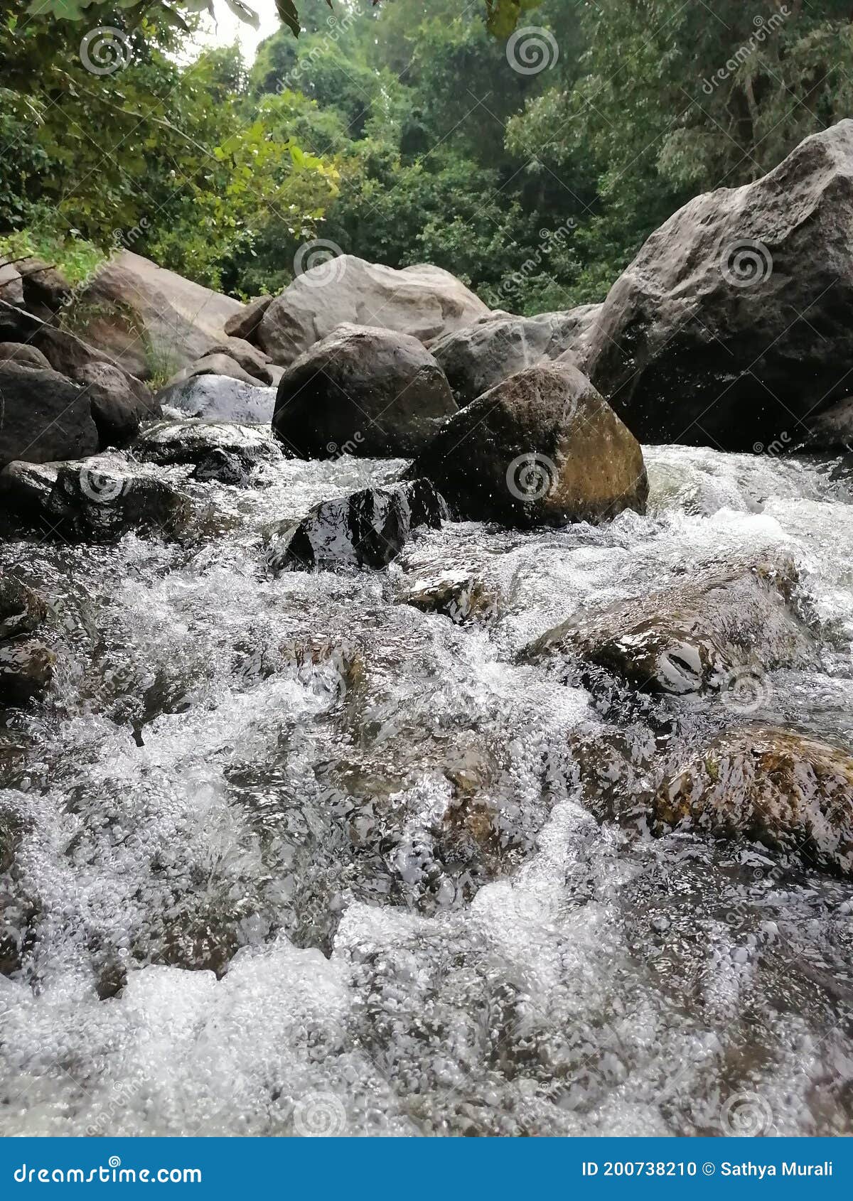 Amazing Waterfalls in Amirthi Forest. Stock Photo - Image of waterfalls ...