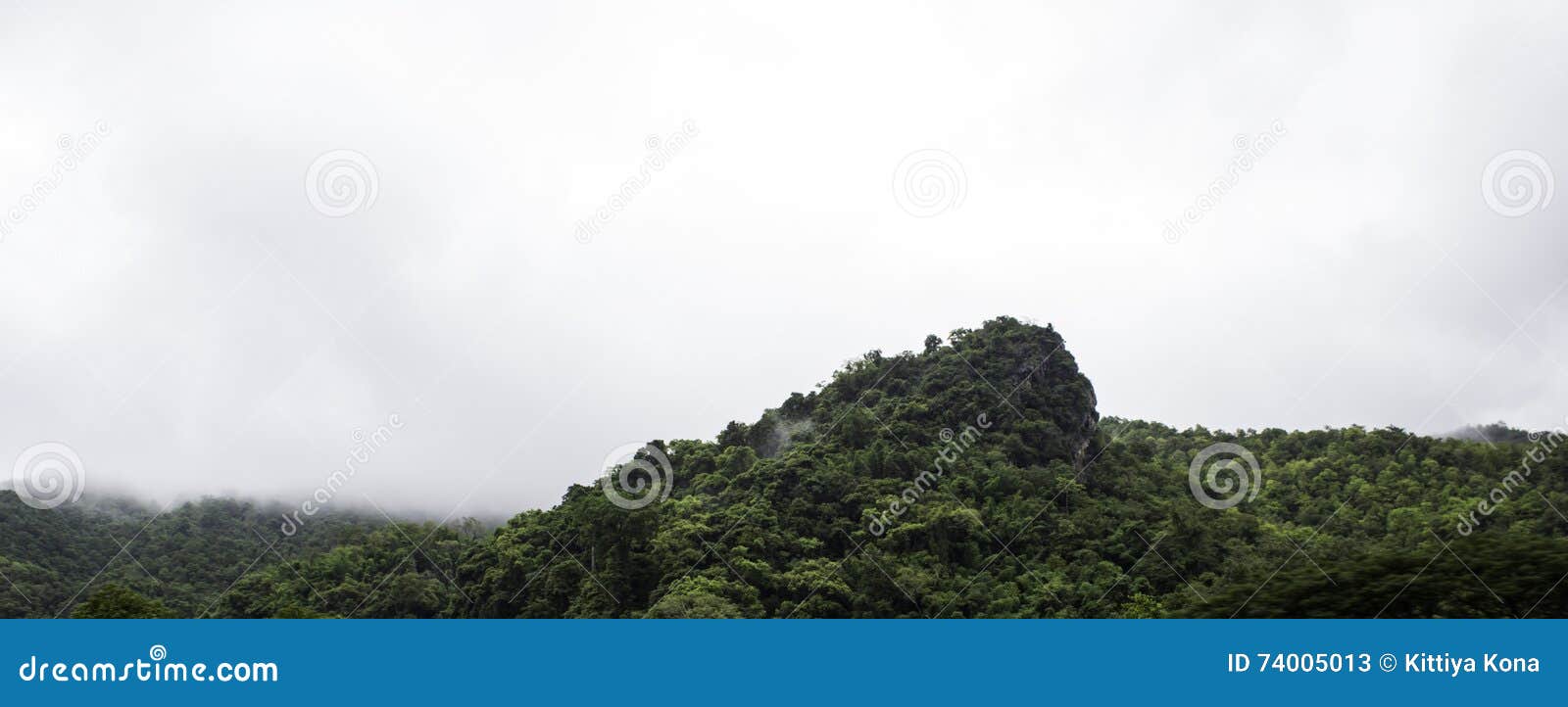 Amazing Wild Nature View of Deep Evergreen Forest Landscape on Sunlight ...