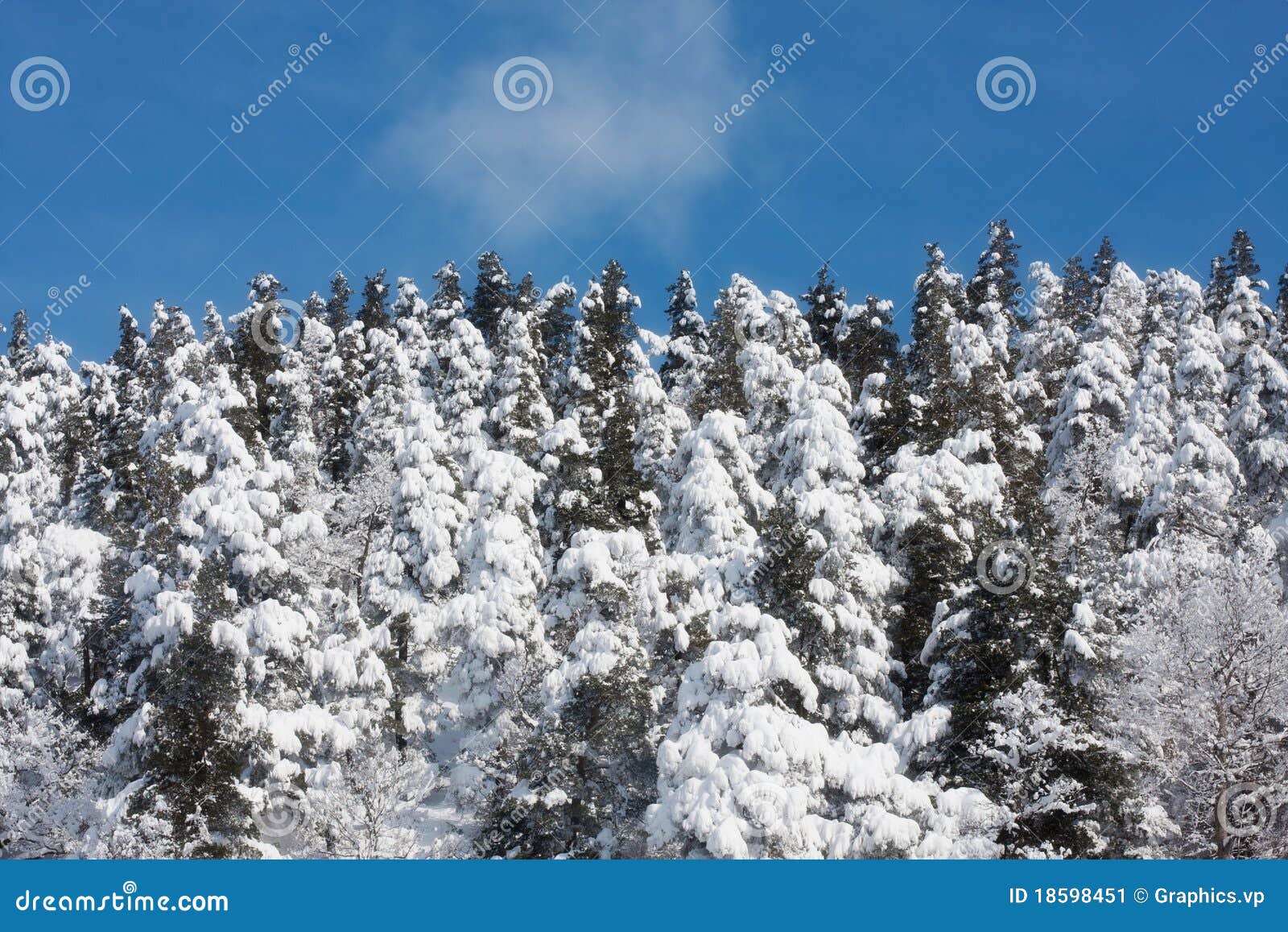Amazing Winter Landscape stock image. Image of mountain - 18598451