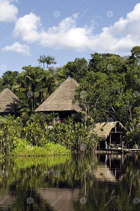 The Amazon stock image. Image of amazon, lake, meditation - 17875991