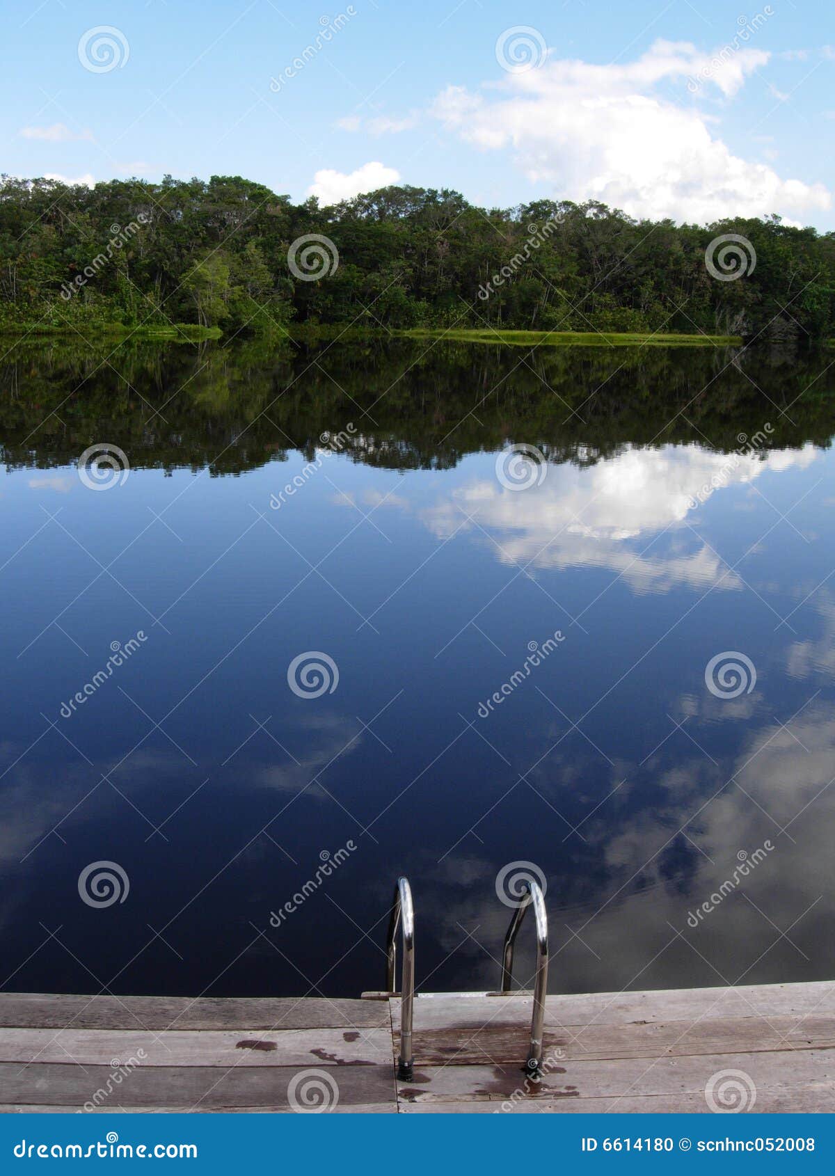 Amazon stock photo. Image of earth, climate, holiday, dock - 6614180