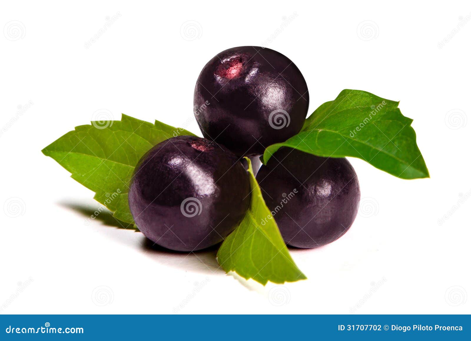 The amazon acai fruit stock photo. Image of berries, food - 31707702