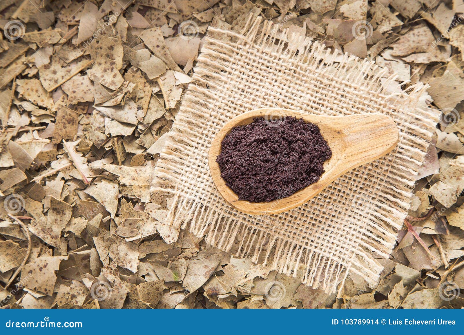 The amazon acai fruit. stock photo. Image of ingredient - 103789914