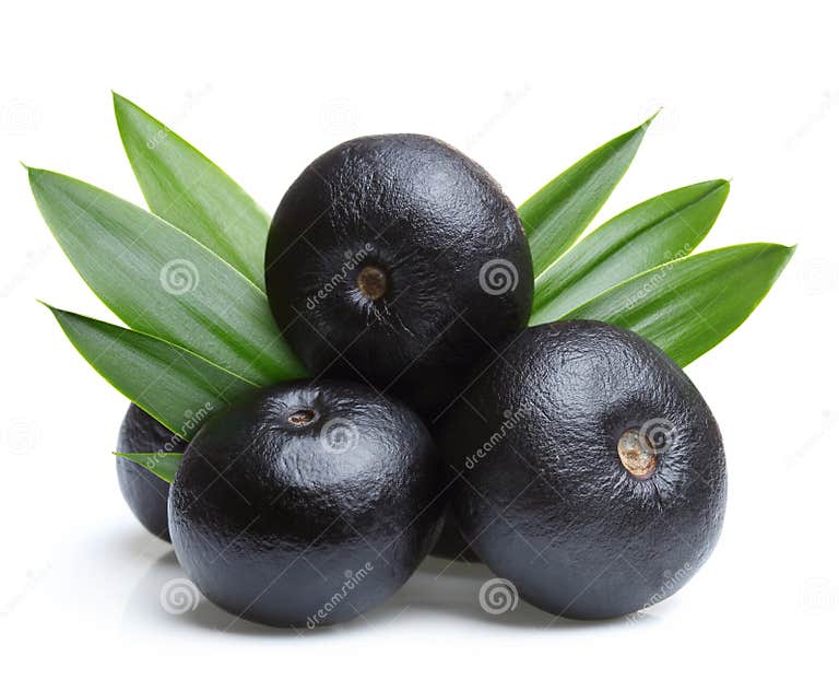 Amazon Acai Fruit with Leaf Stock Image - Image of diet, leaf: 44305657