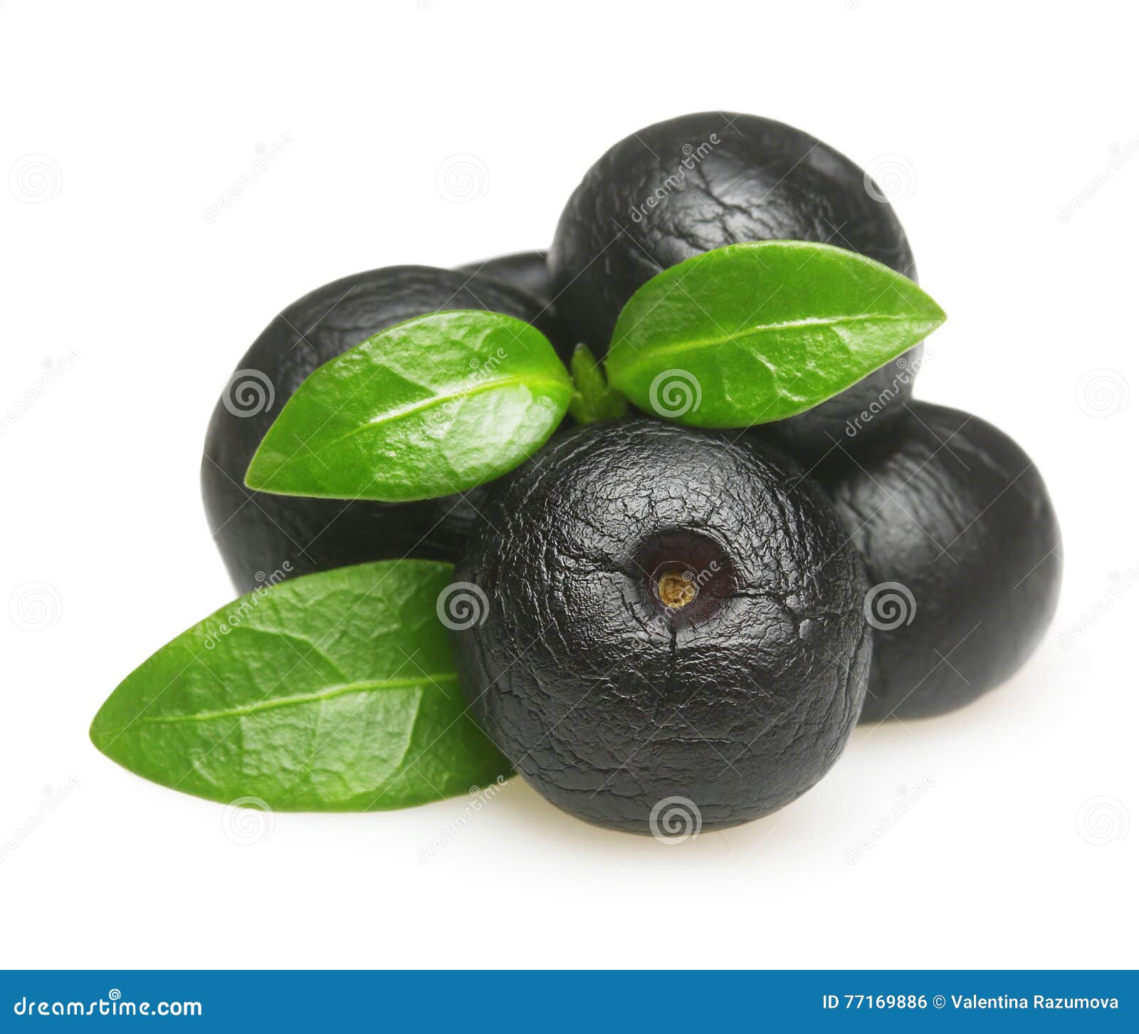 Amazon Acai Fruit with Leaf Isolated Stock Photo - Image of brazil ...