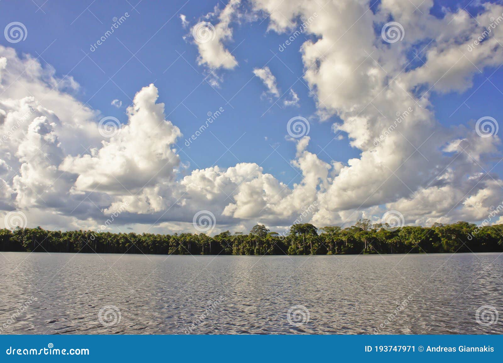 Amazon Basin, Sandoval Lake, Peru, South America Stock Image - Image of ...