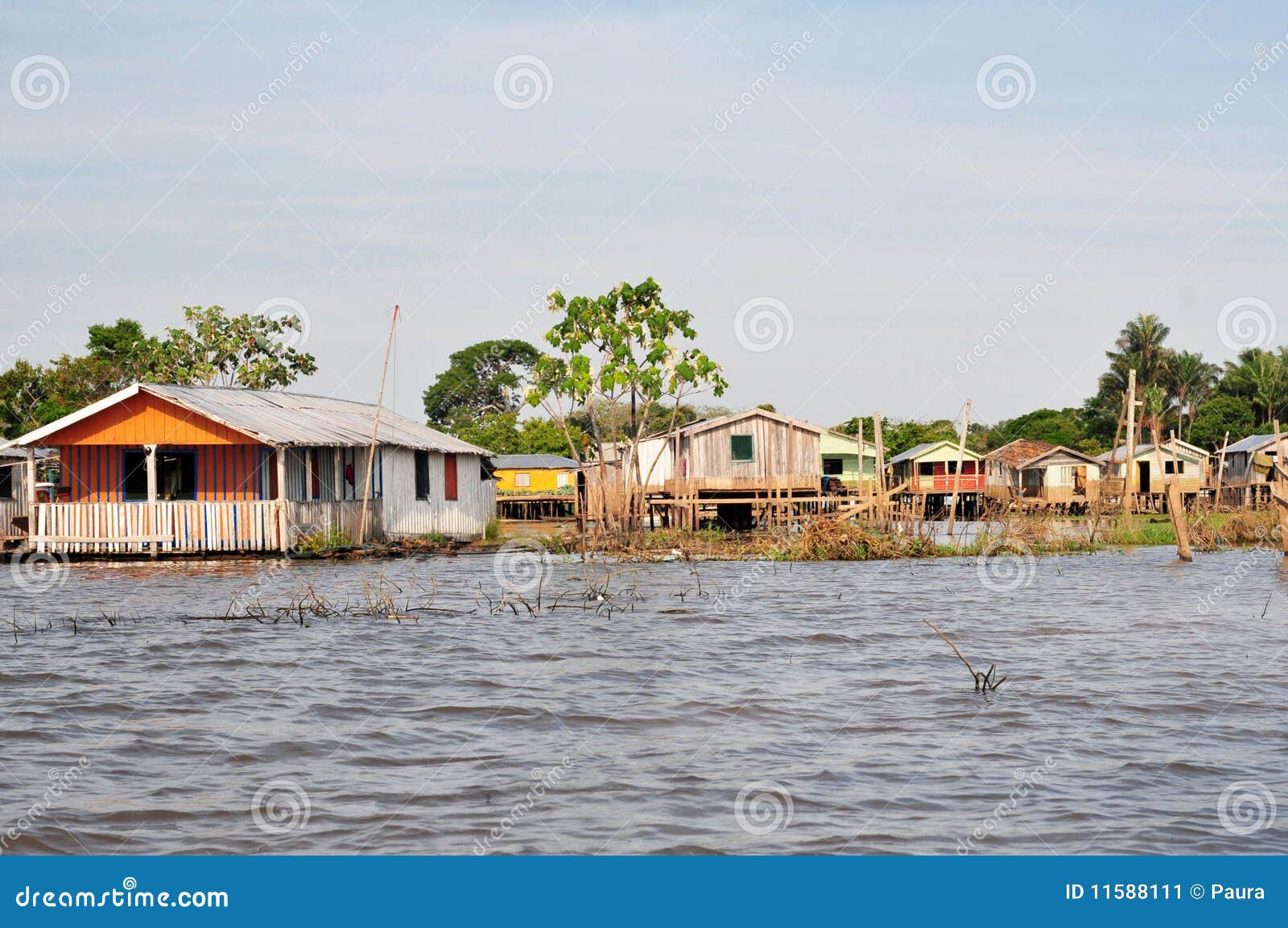 Amazon Floating and Stilt Typical House (Amazonia) Stock Image - Image ...