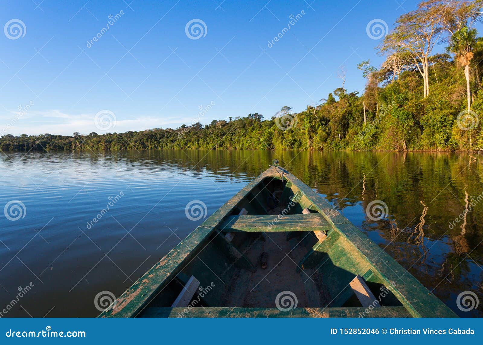 AMAZON FOREST from a BOAT stock photo. Image of manaos - 152852046