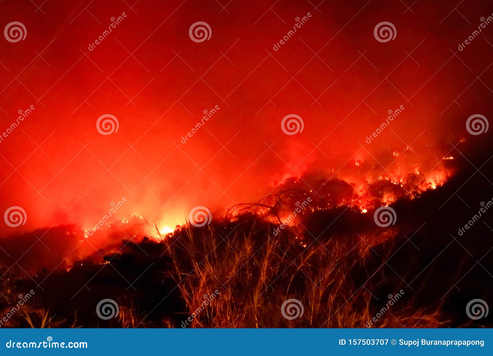 Amazon Forest Fire Disater Problem.Fire Burns Trees in the Mountain at ...