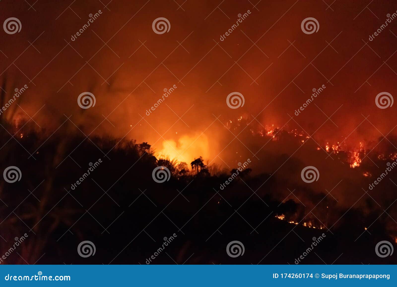 Amazon Forest Fire Disater Problem.Fire Burns Trees in the Mountain at ...