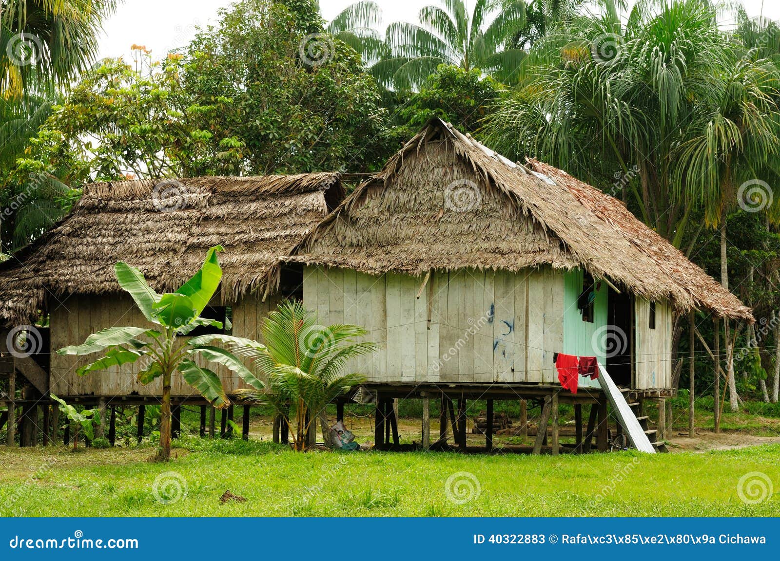 Amazon Indian Tribes in Brazil Stock Image - Image of botanic, nature ...
