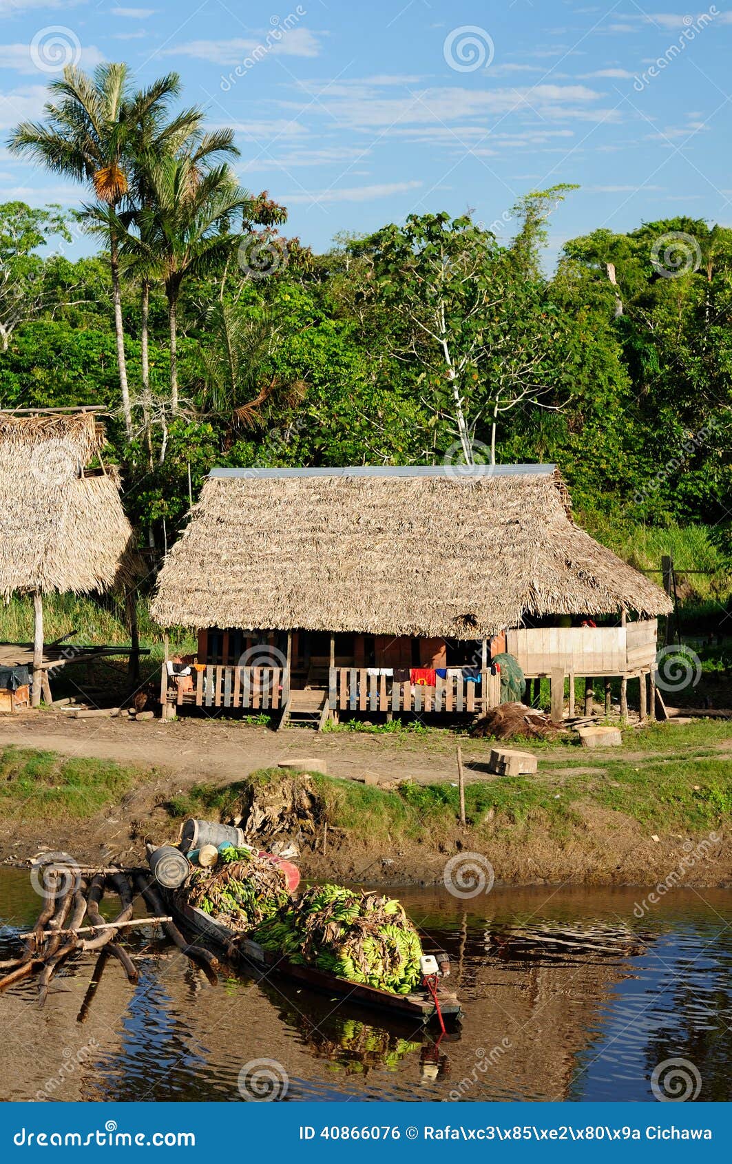Amazon Indian Tribes in Brazil Stock Photo - Image of reserve, river ...