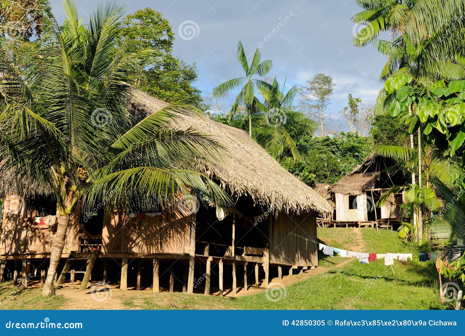 Amazon Indian Tribes in Colombia Stock Image - Image of maranon ...
