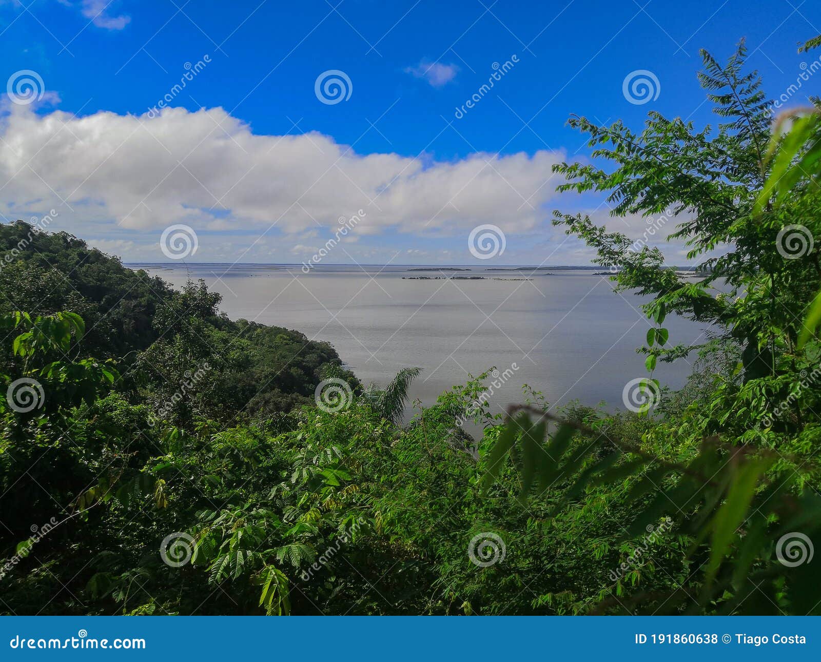 Amazon Island in the Middle of the River Stock Photo - Image of ...