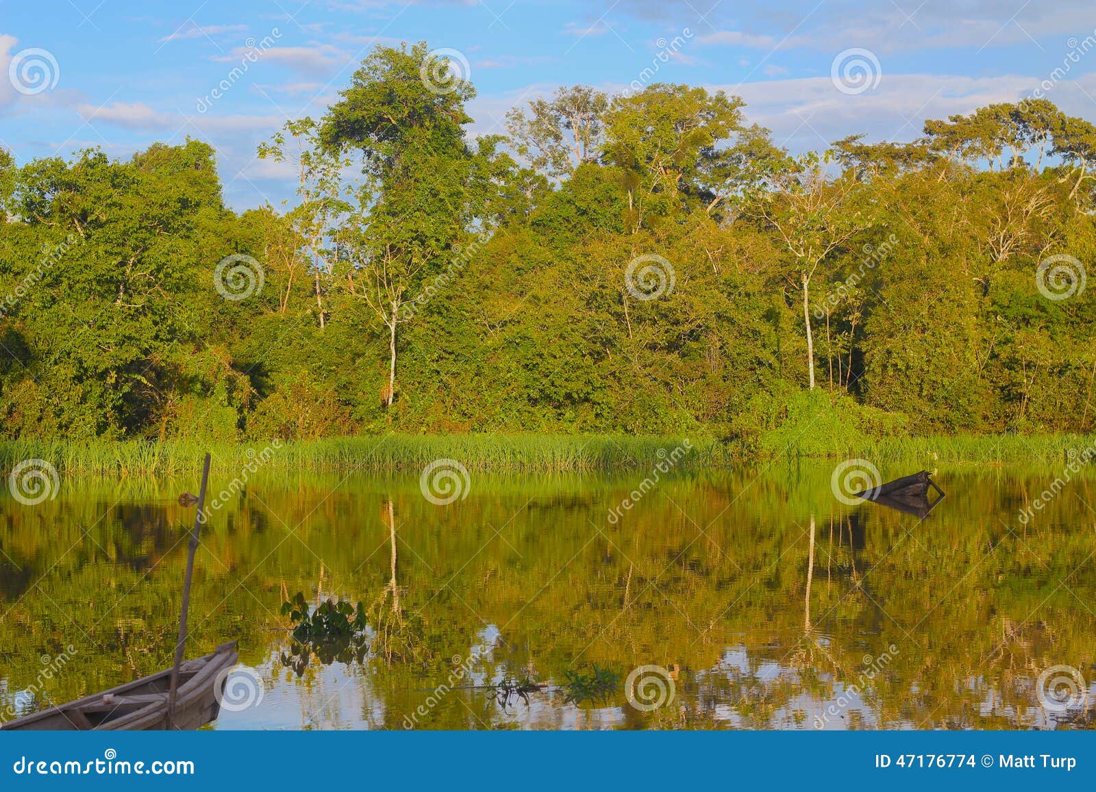 Amazon Jungle stock photo. Image of clouds, canoe, background - 47176774